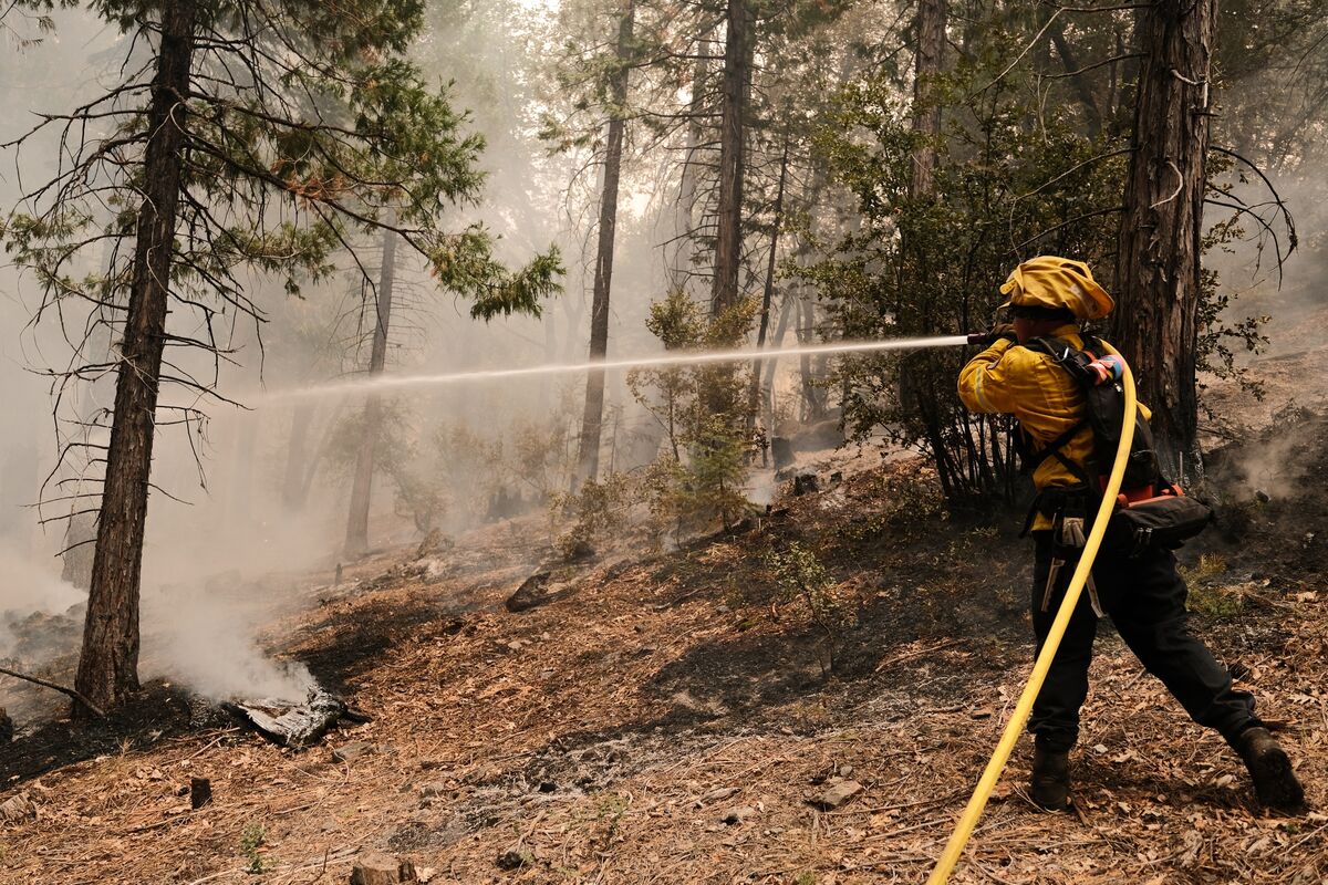 Caldor Fire in California Could Reach Lake Tahoe, Burning Out of ...
