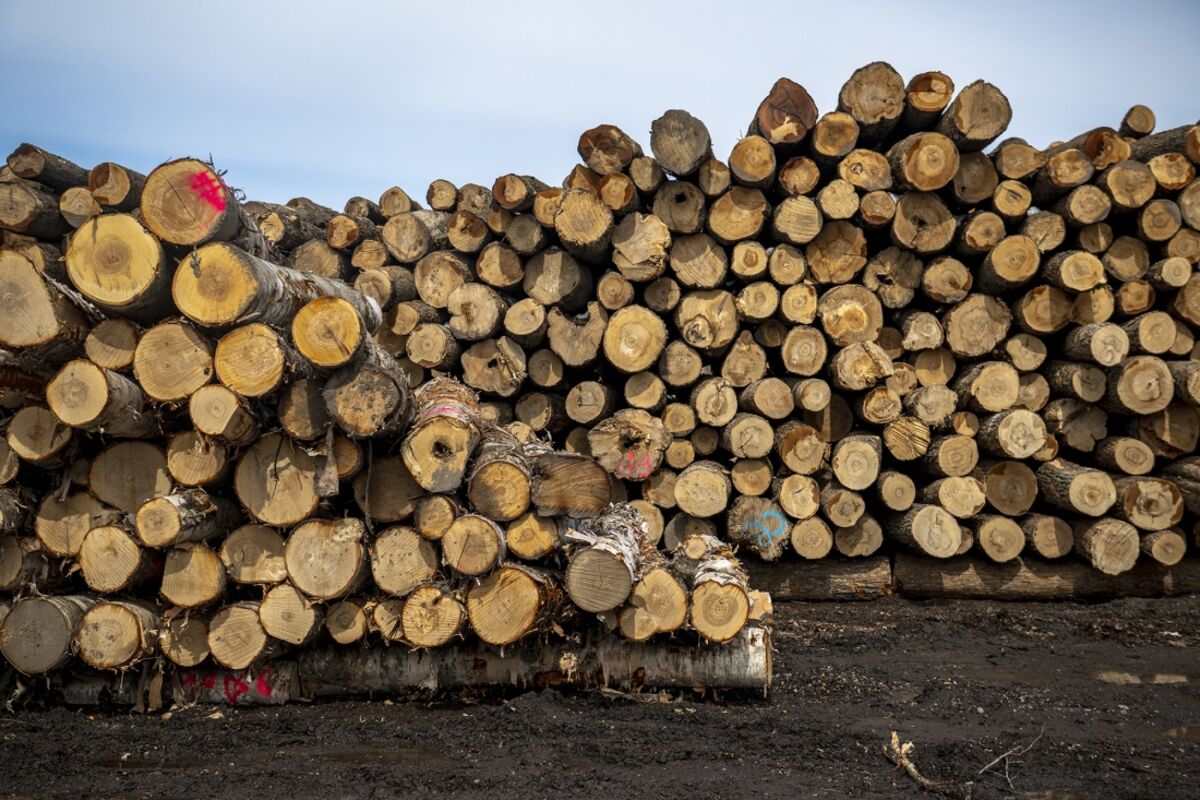 Trump’s Wood Tariffs: What They Mean for Canada, US Consumers - Bloomberg