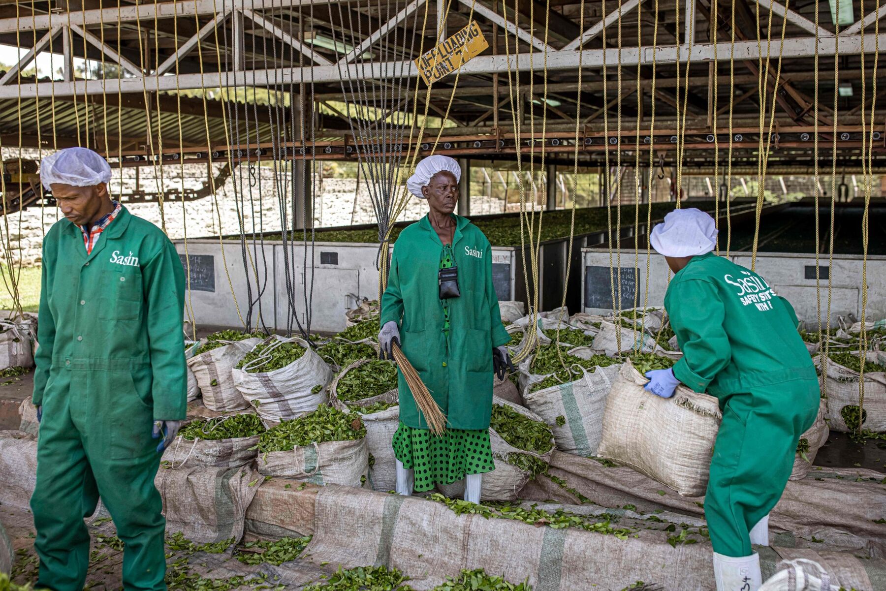 Kenya Bets on World Biggest Tea Buyer to Boost Growers’ Incomes - Bloomberg