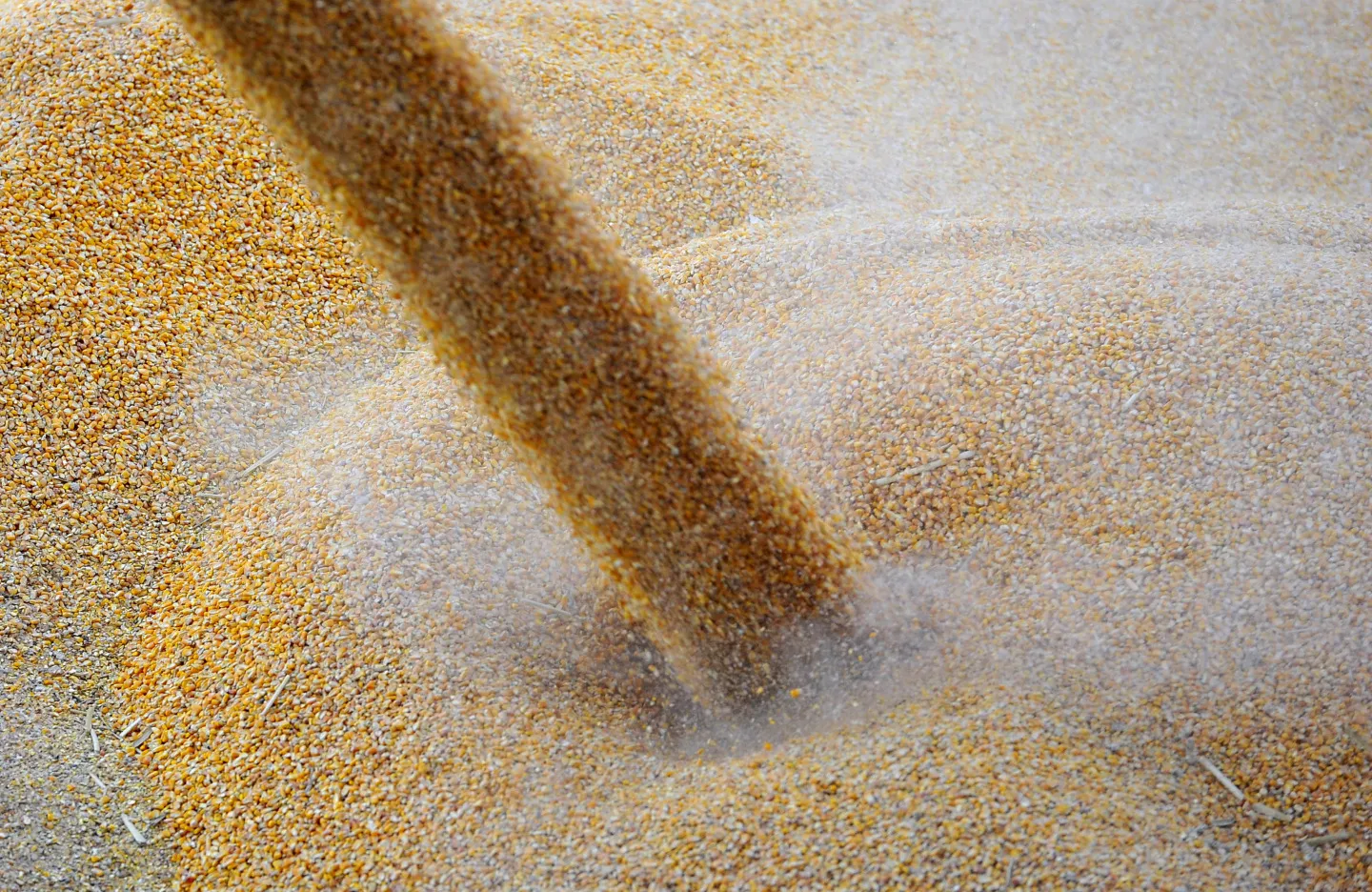 China 2020 Corn Imports Hit 15-Year High With Months to Go - Bloomberg
