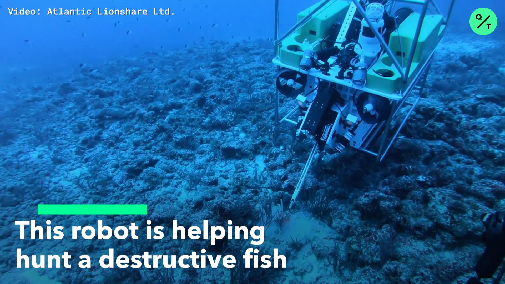 Watch This Robot Is Hunting Lionfish - Bloomberg
