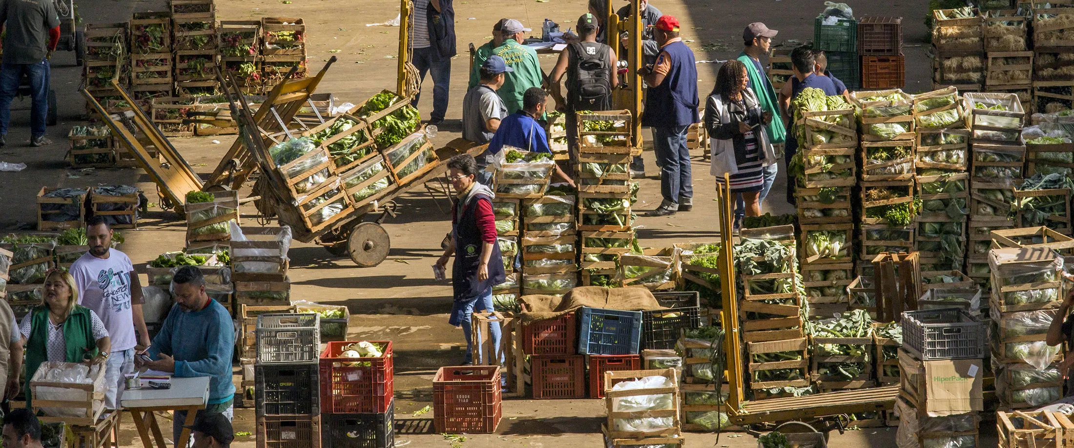 Here’s Where Brazil’s Presidential Hopefuls Stand on Economic Issues ...