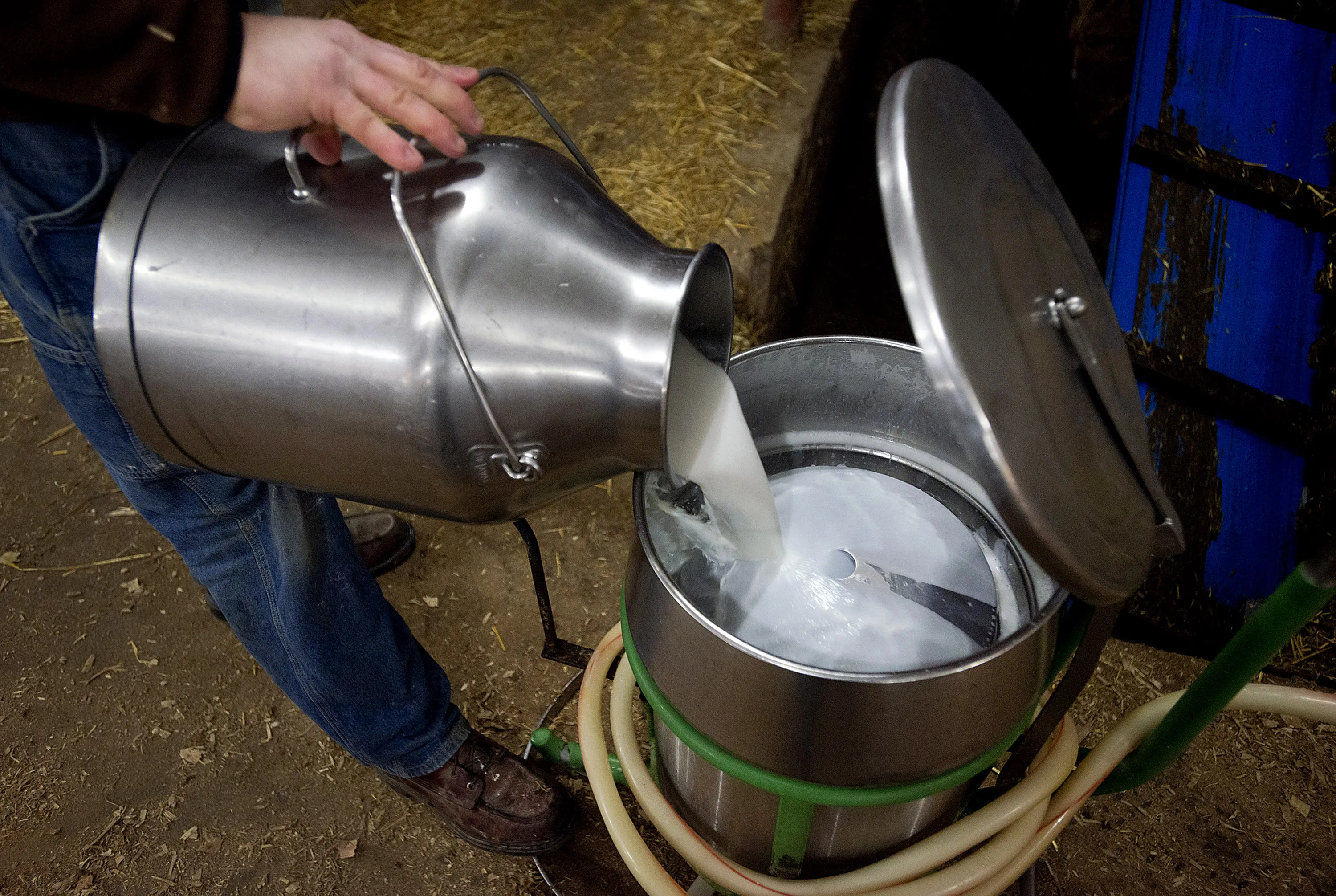 Farmers Dump Milk in Latest Blow to Battered U.S. Dairy - Bloomberg