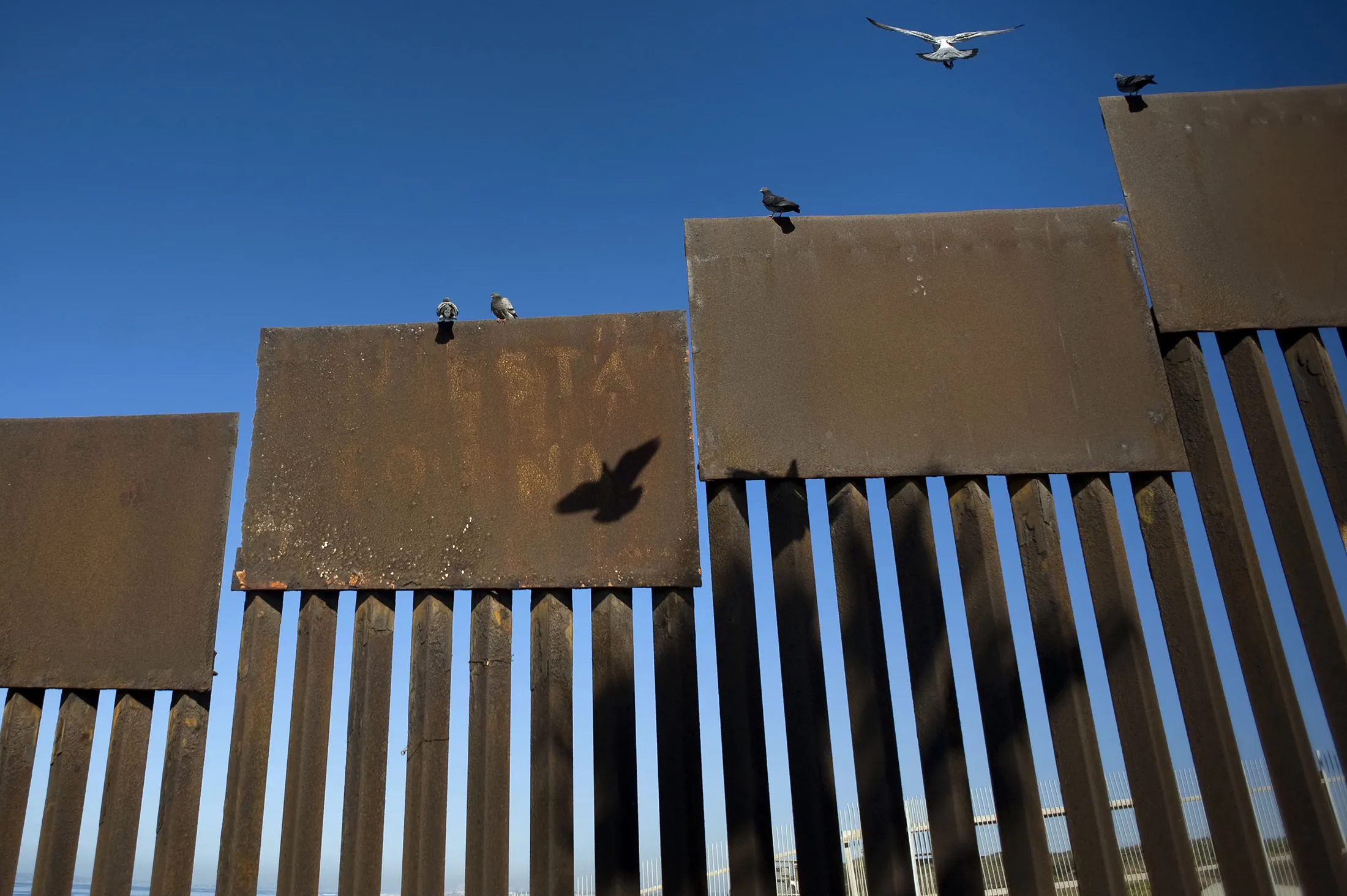 Judge Attacked by Trump Won't Block Border Wall in California - Bloomberg