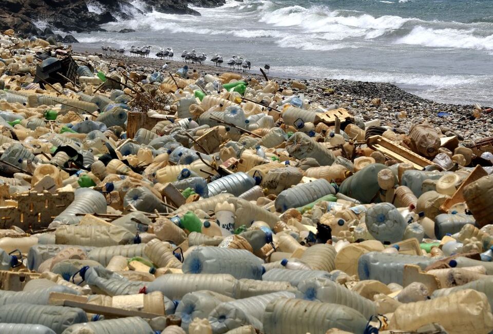 Oceans Need a Rescue From Overfishing, Plastic and Climate Change ...
