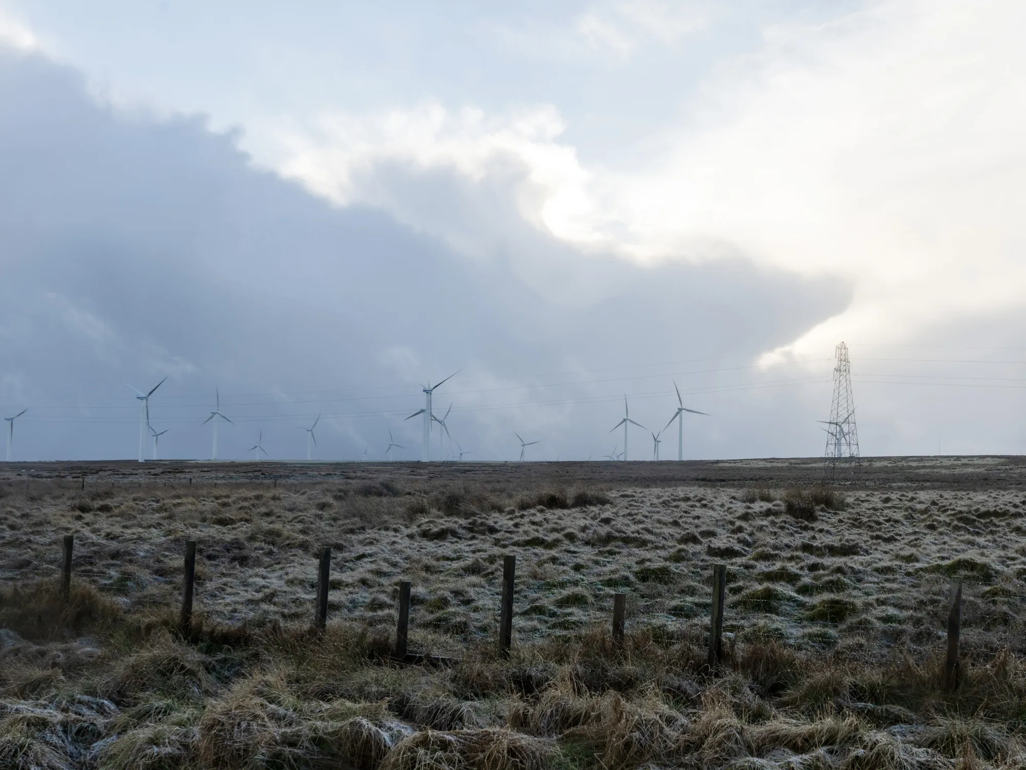 Why Wrong Wind Power Forecasts Cost Consumers Millions: Big Take ...