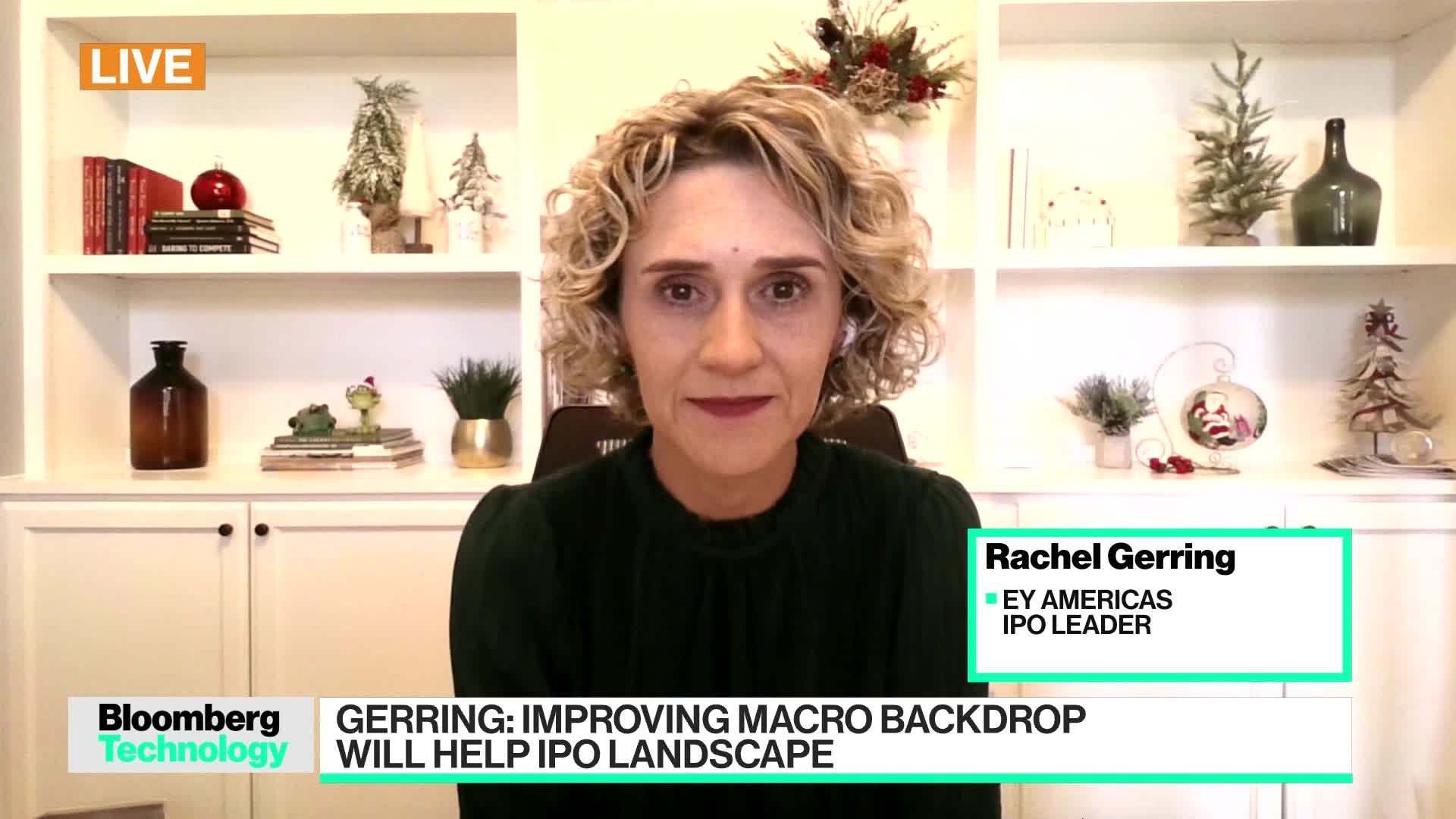 Watch EY's Gerring Doesn't Expect Big IPO Change in 1H 2024 - Bloomberg
