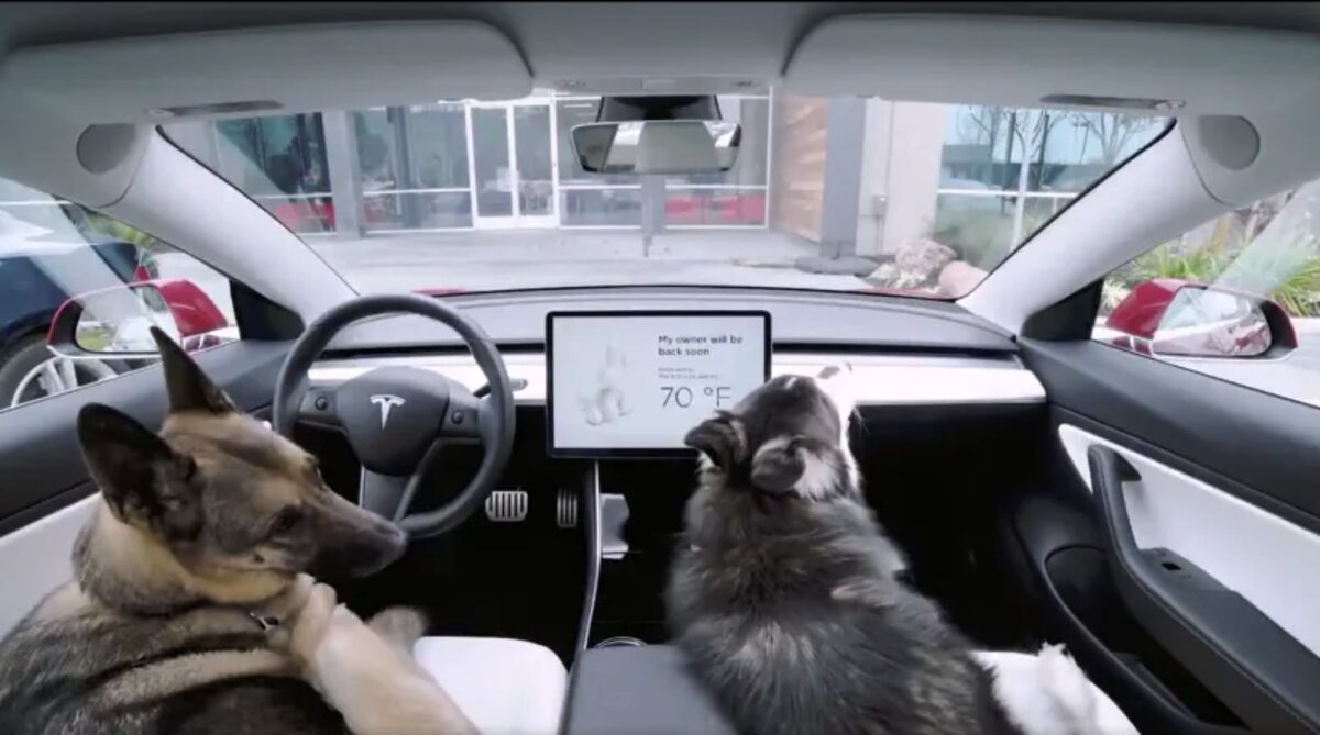 Elon Musk's Tesla Model 3 Releases Dog Mode - Bloomberg