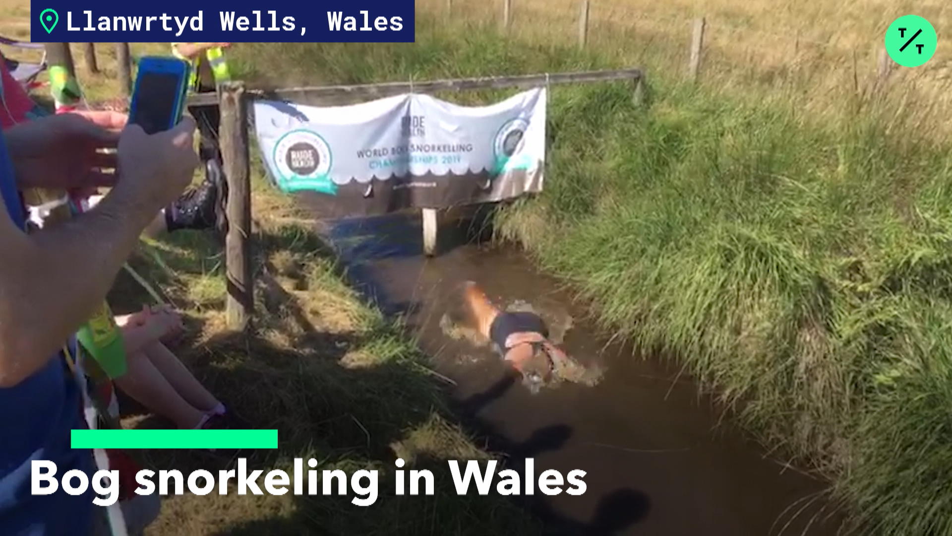 Watch Bog Snorkeling in Wales - Bloomberg