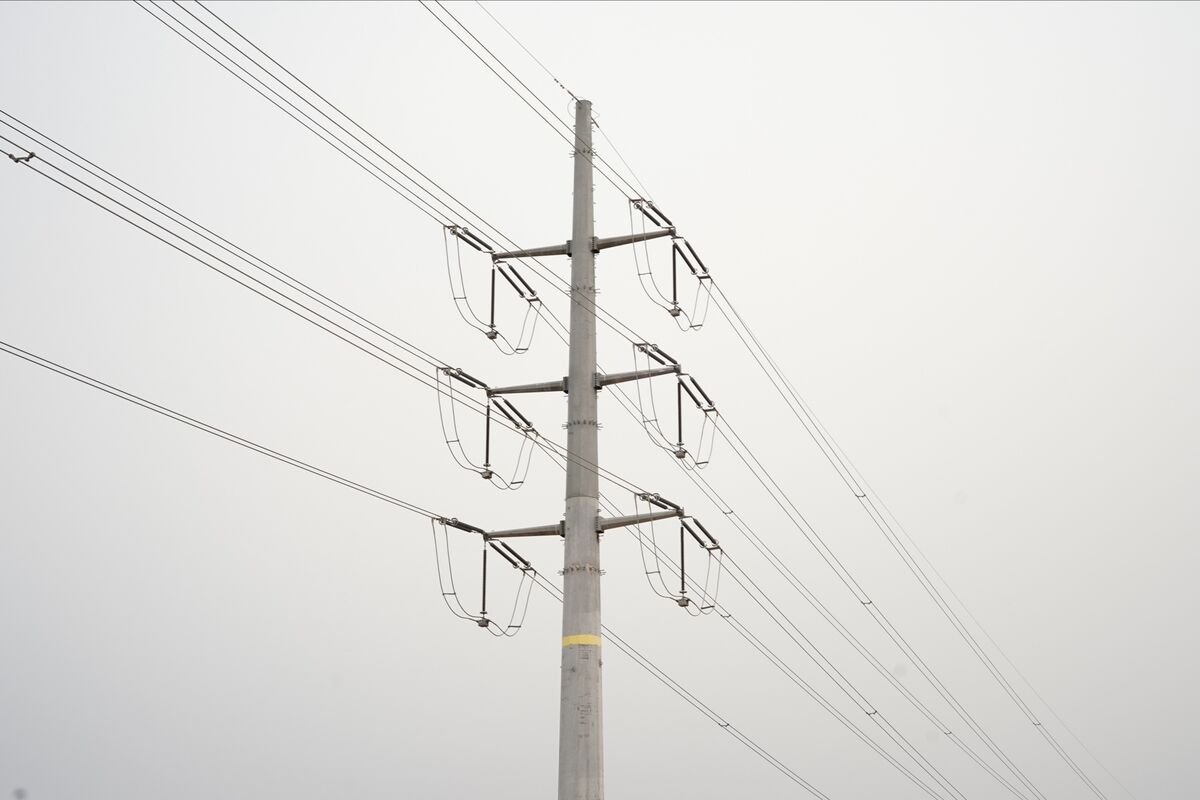 What Does a Green Grid Mean, and Can Biden Make One?: QuickTake - Bloomberg