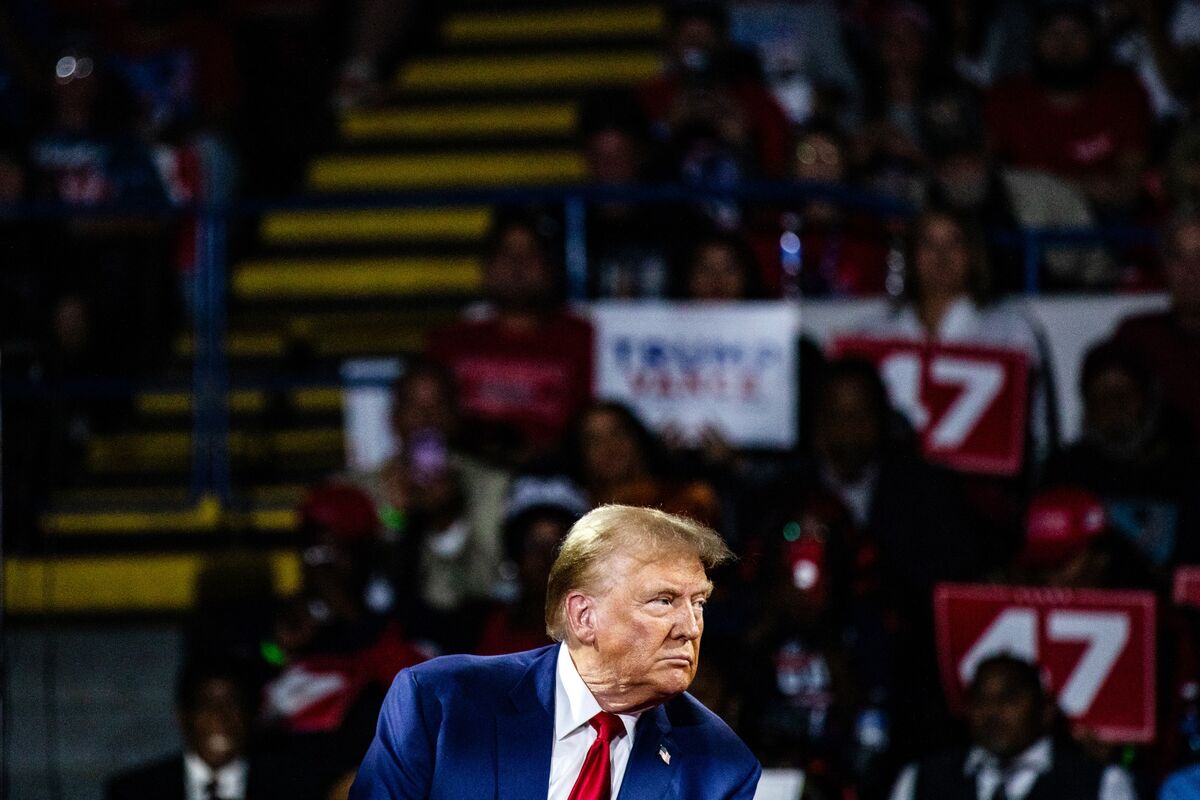 What Trump's White House Return Means for Climate Tech Investments ...