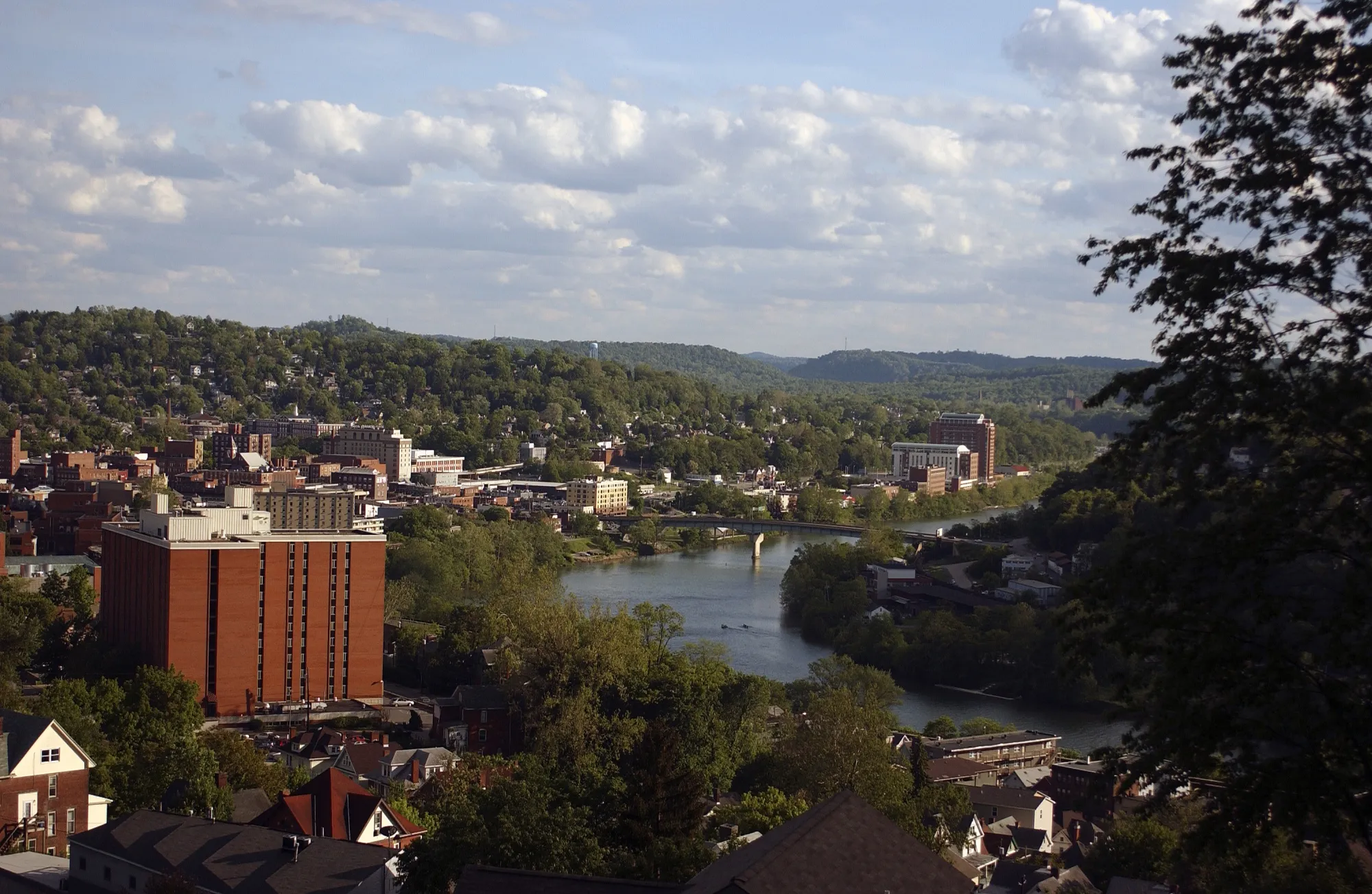 Navigator: Migration Memes - Bloomberg