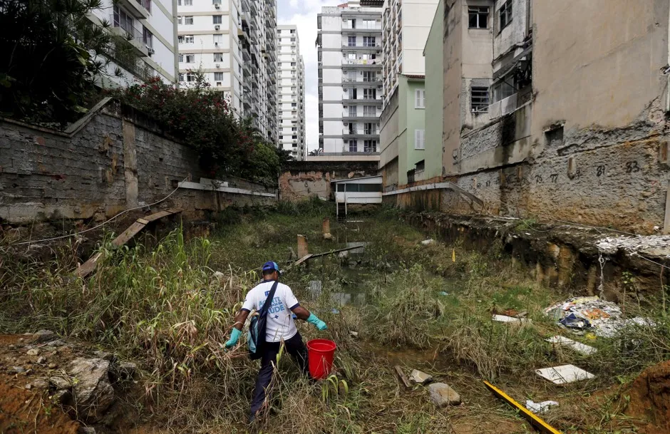 How the Rio 2016 Summer Olympic Games Could Trigger a Global Zika ...