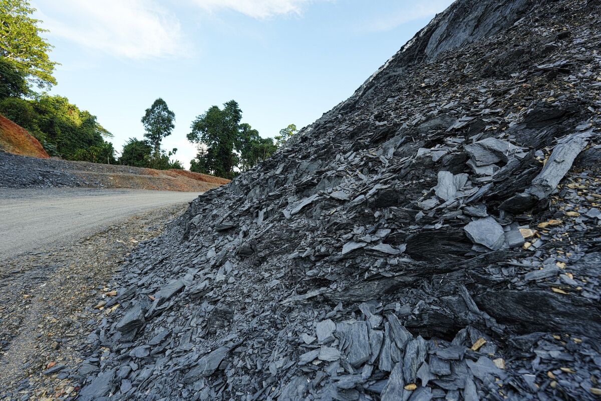 COP29: Coal Transition Group Argues for Looser Sustainability Criteria ...