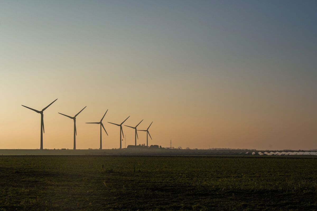 French Renewable Power Repayments Seen Boosting State Coffers, Wind ...