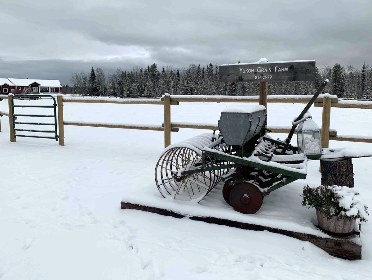 How Climate Change Is Forcing Farmers In the Yukon to Adapt - Bloomberg