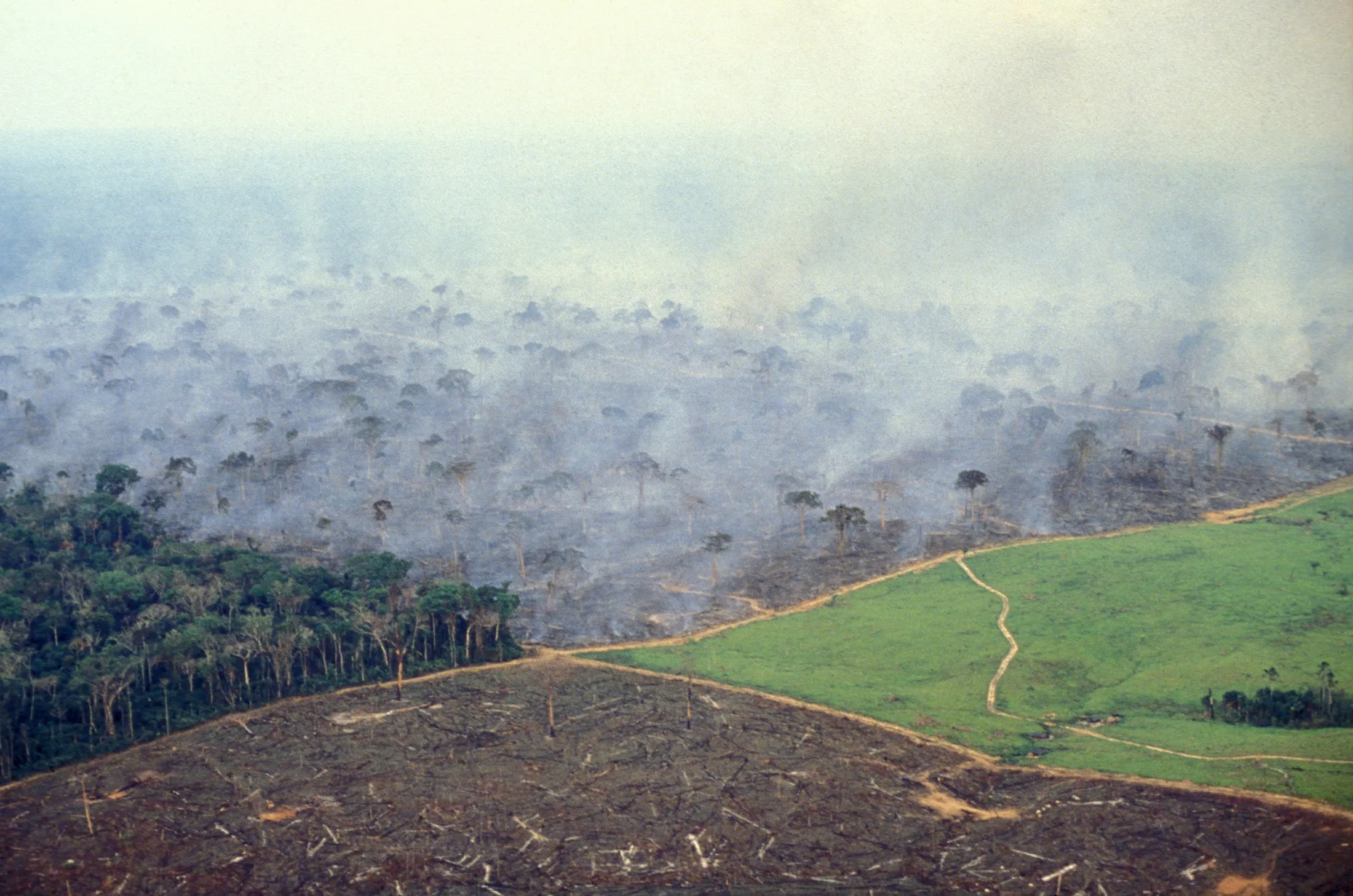 Zombie Carbon Emissions Haunt the Planet - Bloomberg