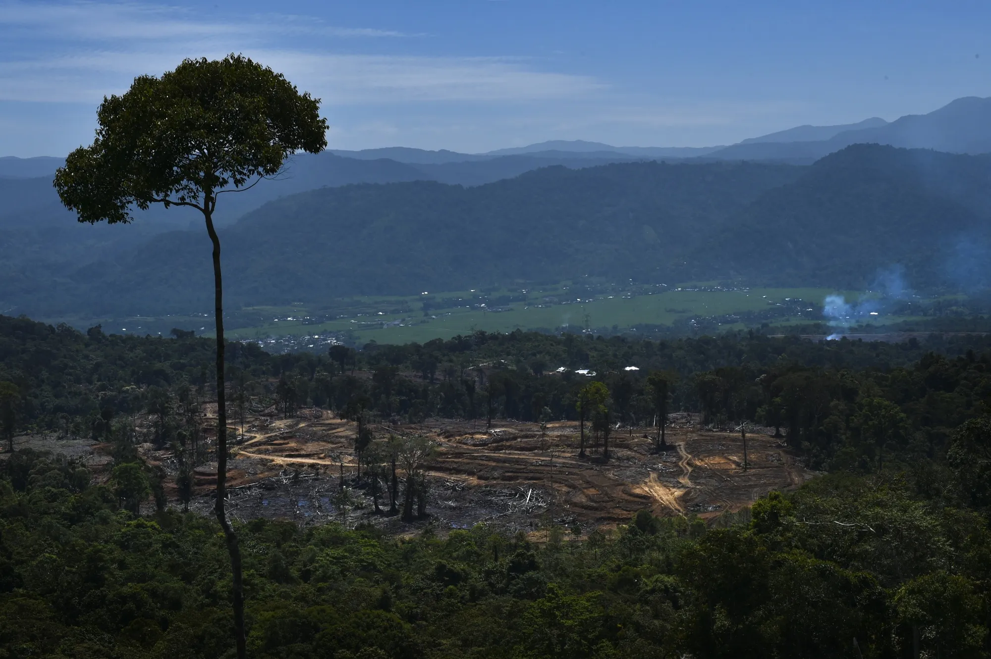 Indonesia Says Development Takes Priority Over Slowing Deforestation ...