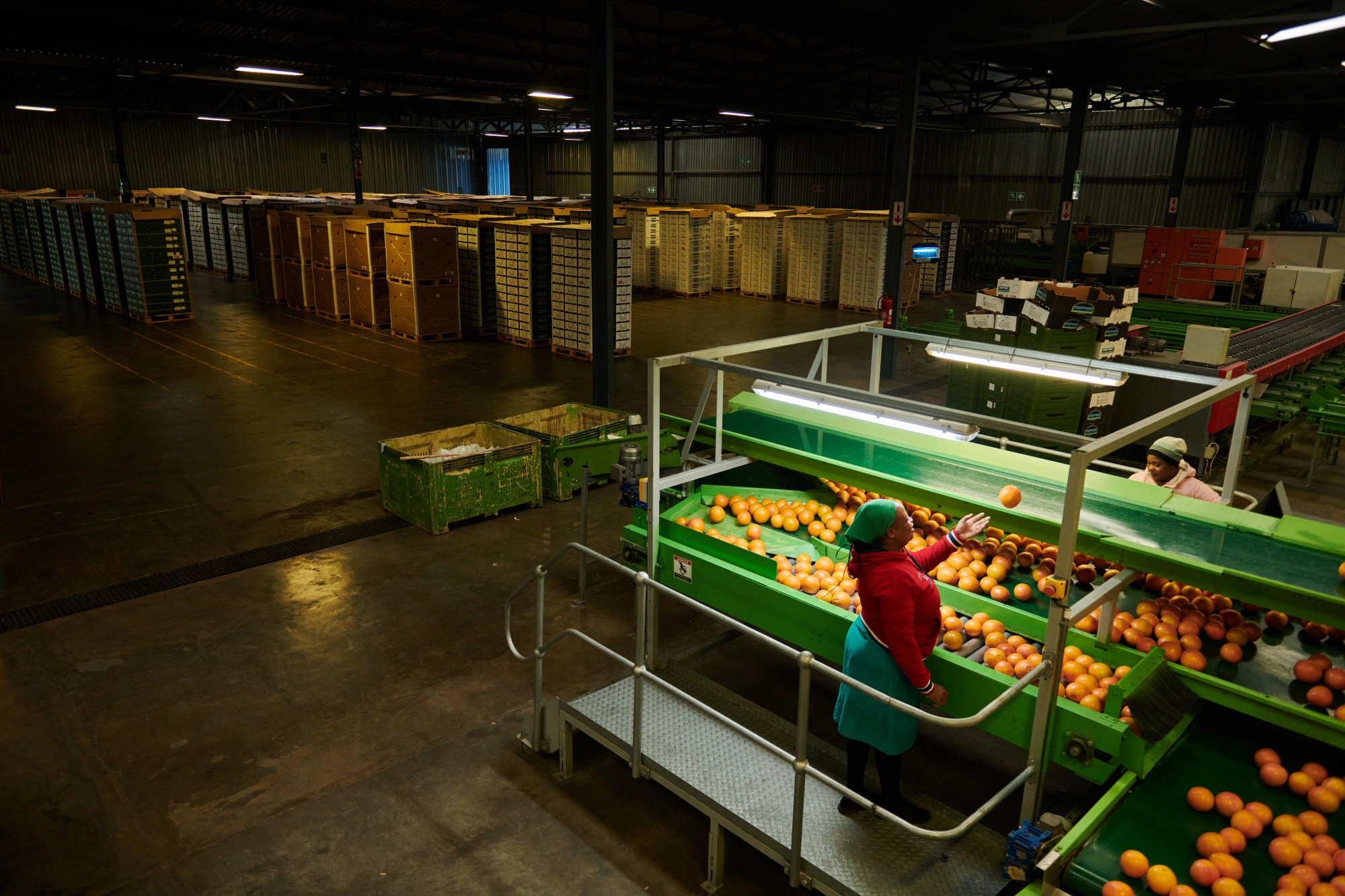 South Africa's Broken Ports: World's No. 2 Citrus Export Industry Under ...