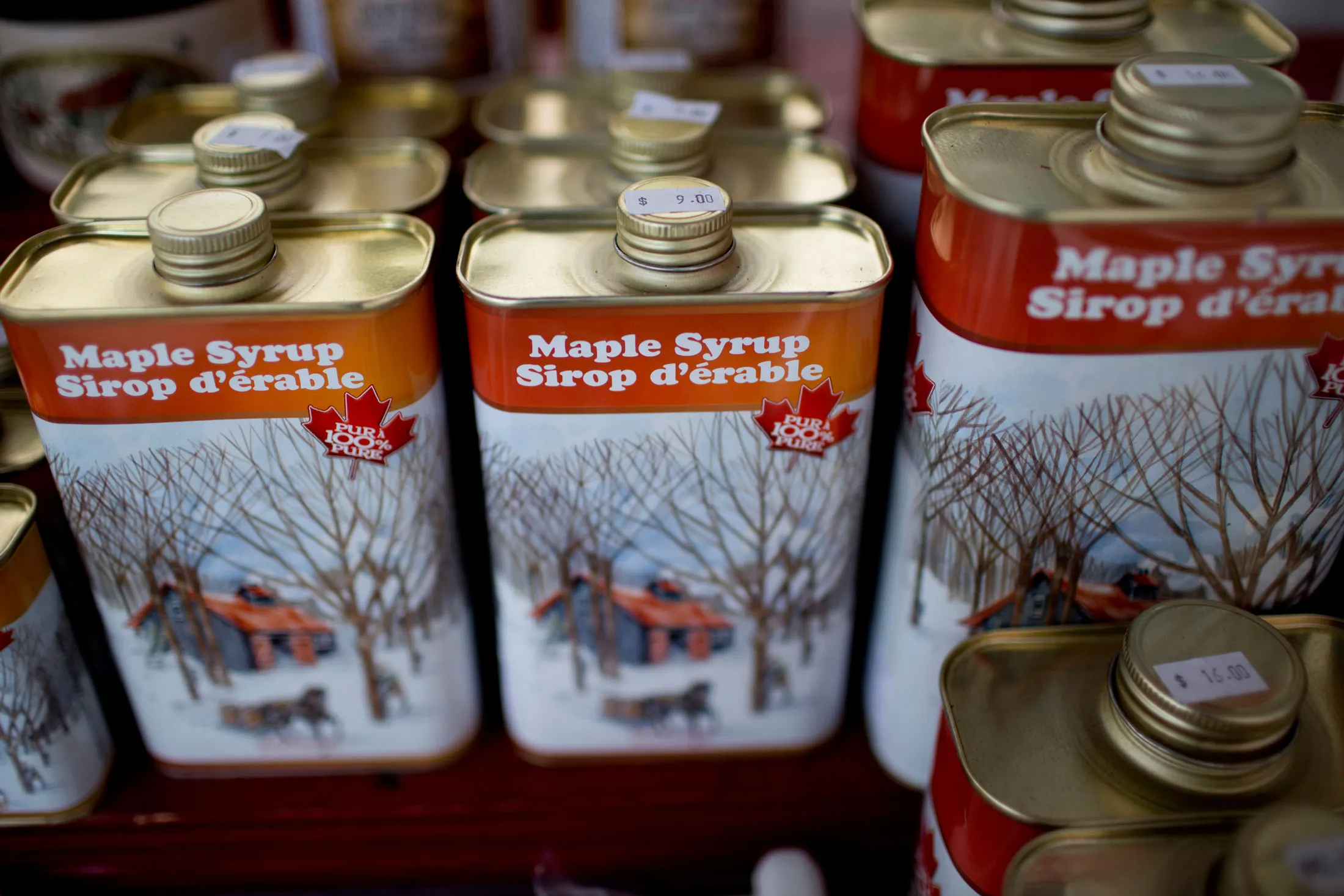 Maple Syrup Cartel Battles a Black Market Rebellion - Bloomberg
