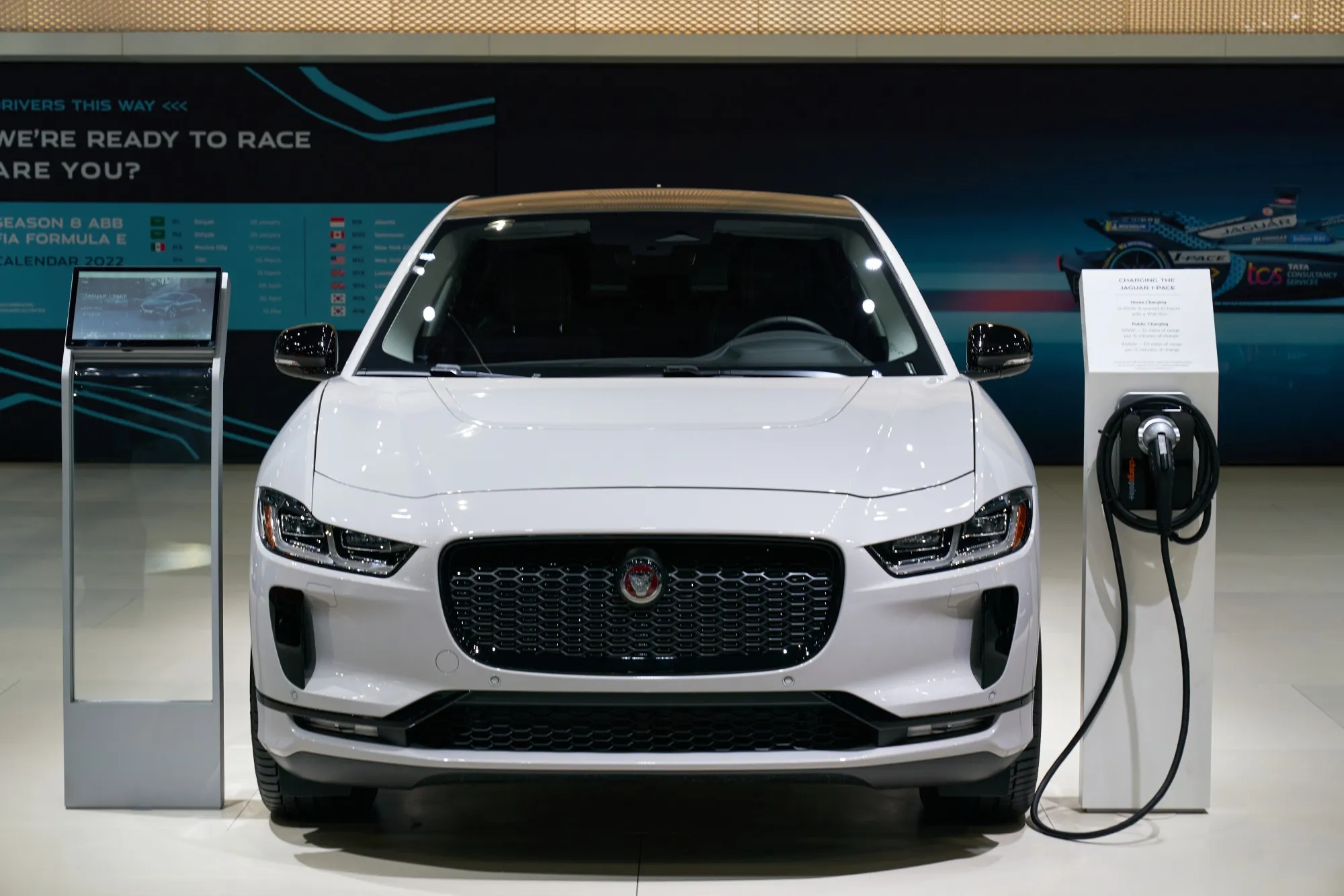 Tata i pace store