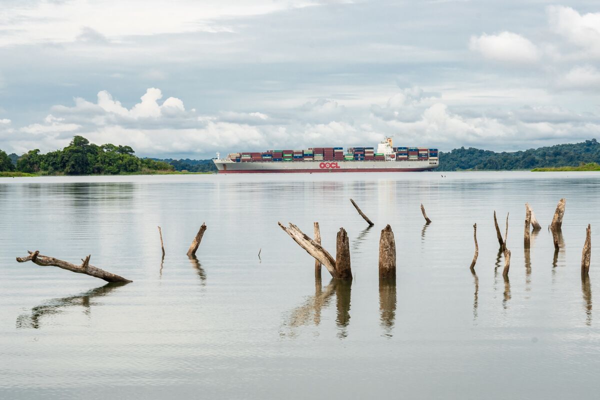 How Panama Canal's Efforts to Combat Drought Put Drinking Water at Risk ...