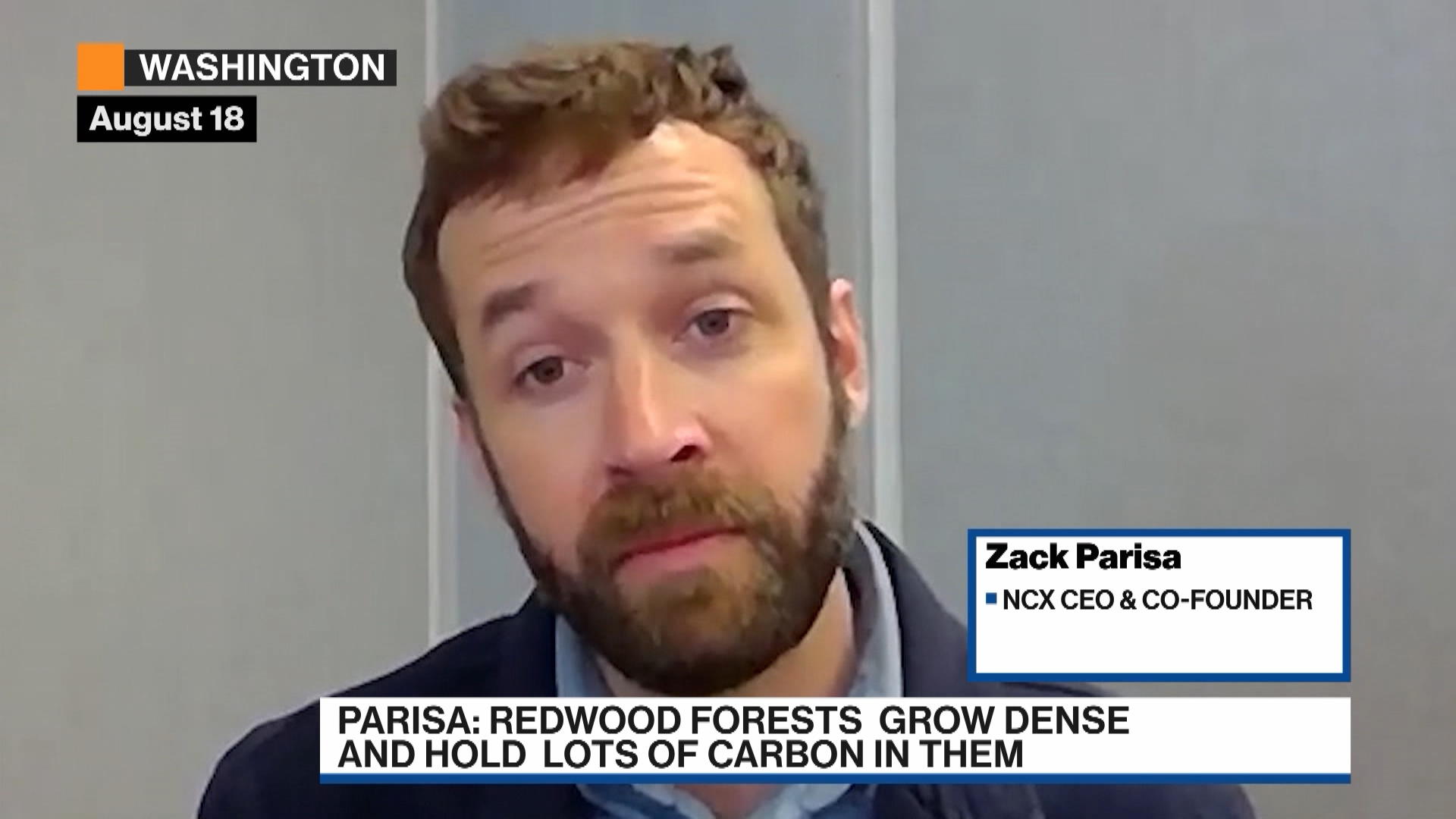 Watch Why Landowners Are Getting Paid To Not Cut Down Trees Bloomberg watch-why-landowners-are-getting-paid-to-not-cut-down-trees-bloomberg