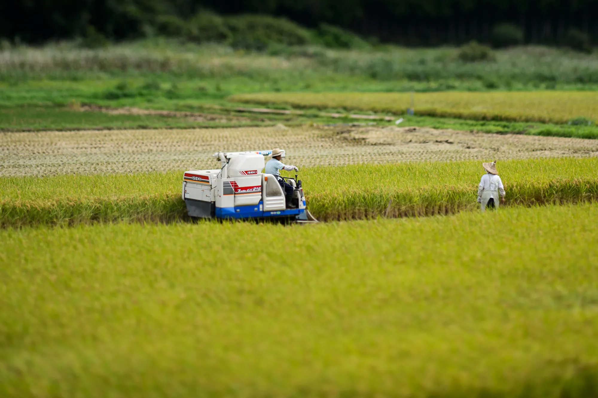 Japan's Next Generation of Farmers Could Be Robots - Bloomberg