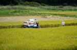 Japan's Next Generation of Farmers Could Be Robots - Bloomberg