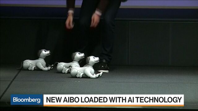 Sony's Aibo Robotic Dog Is Back, With Some New Tricks - Bloomberg