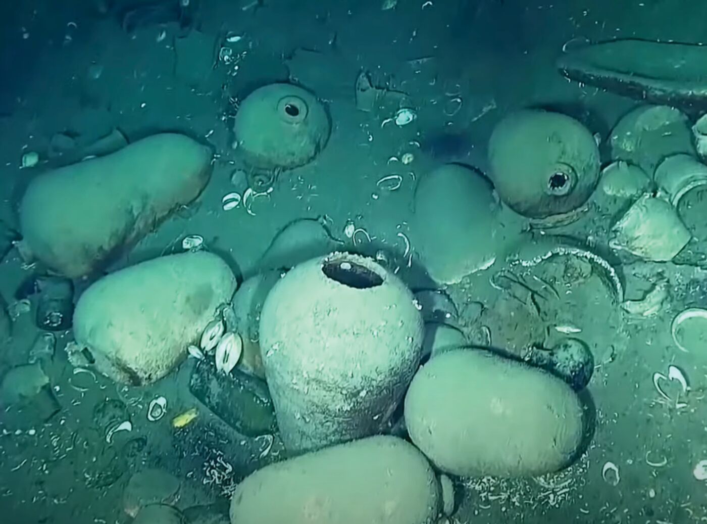 Hedge Fund Tycoon Anthony Clake Doubles as World’s Top Deep-Sea ...