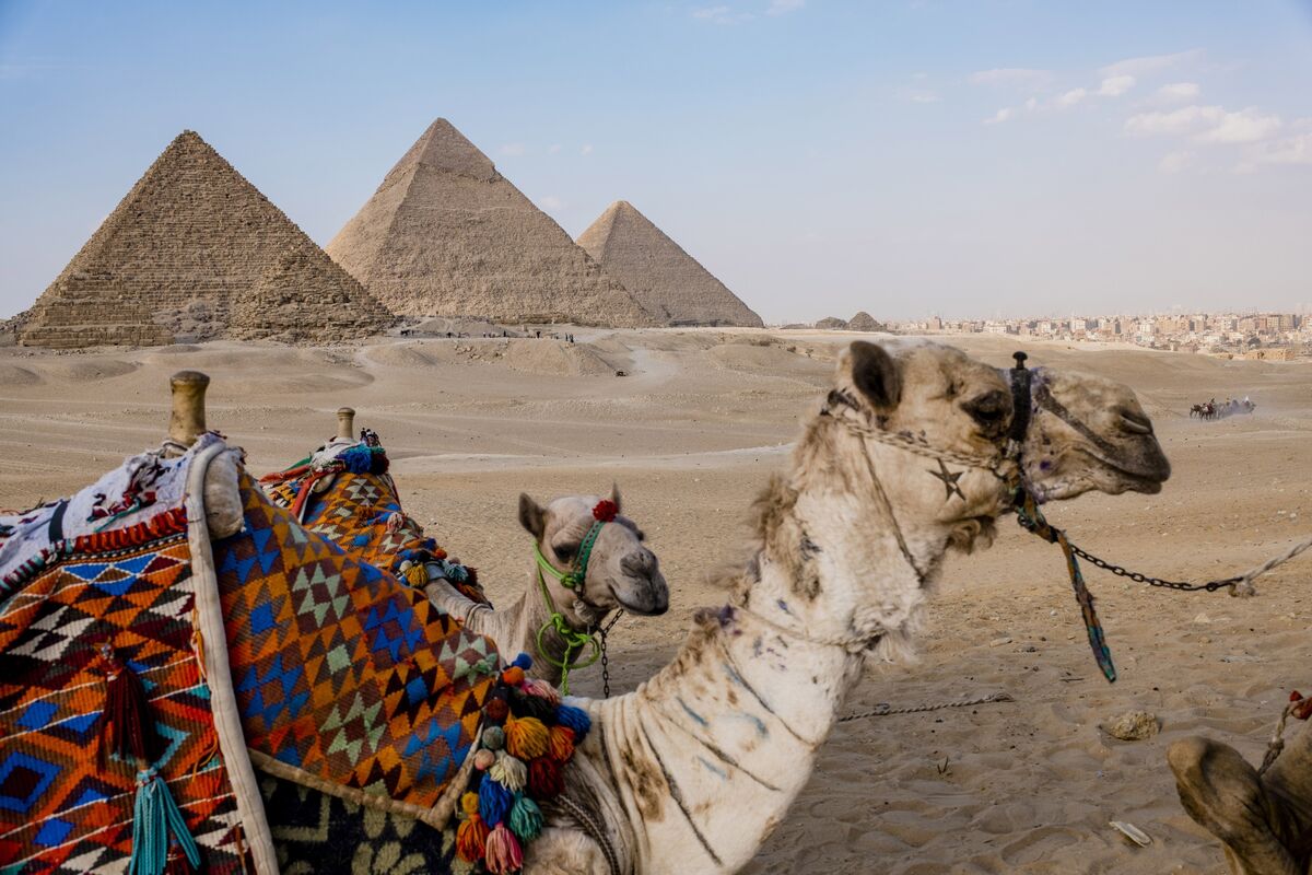 How Egypt Became a Malaria-Free Country - Bloomberg