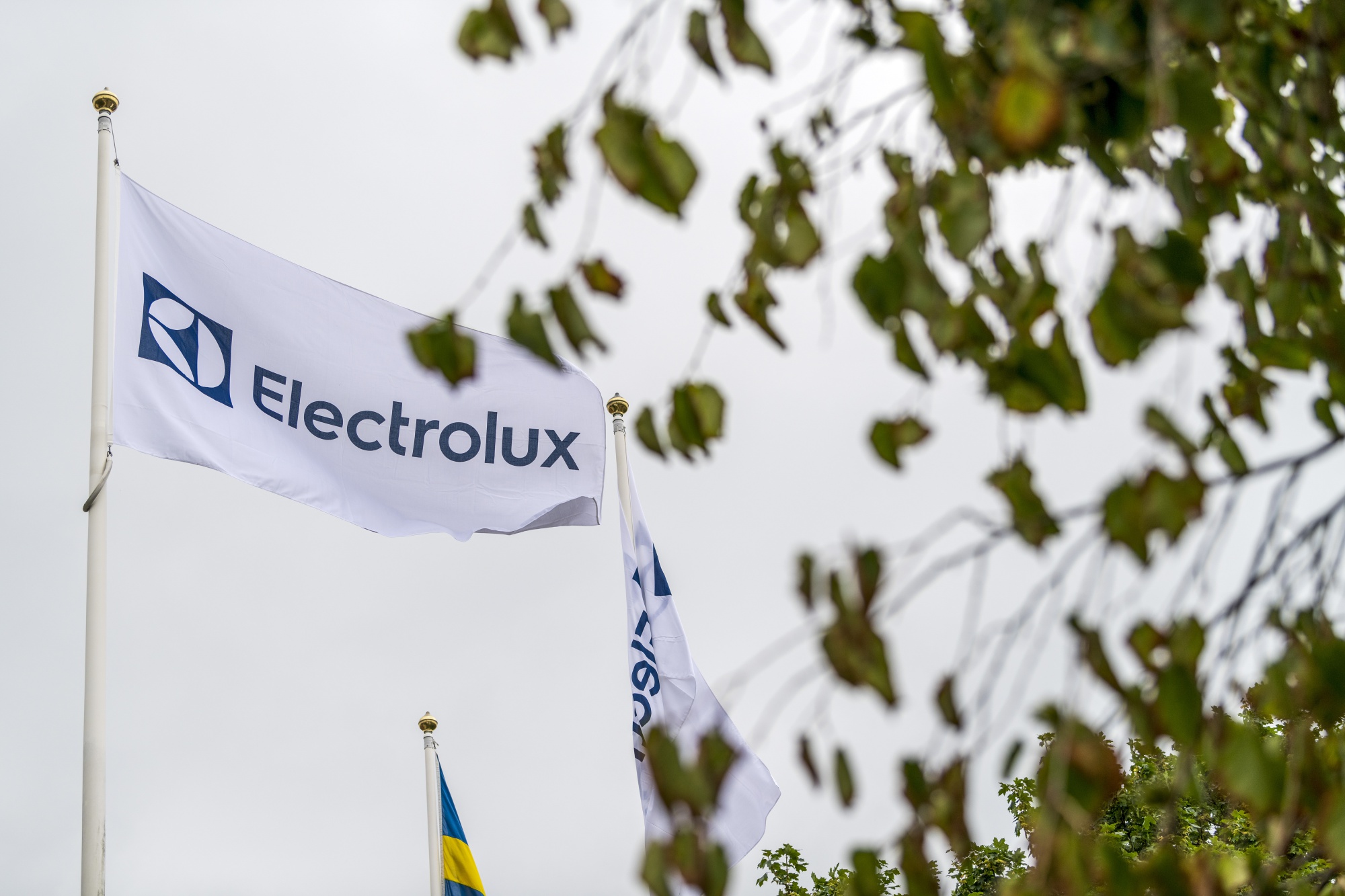 Electrolux Logo Png