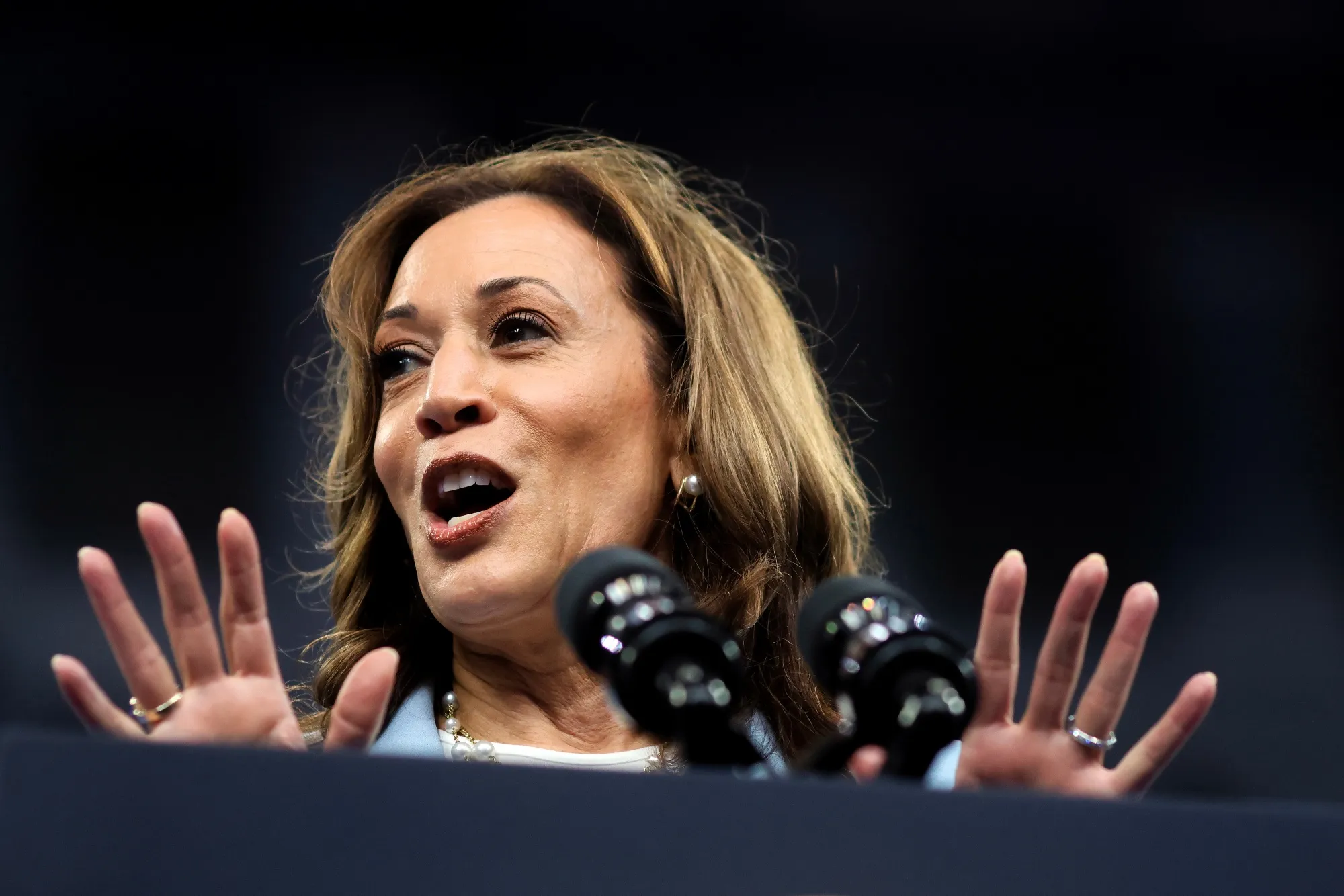 Kamala Harris VP Pick: Harris to Pick Running Mate in Crucial Week - Bloomberg