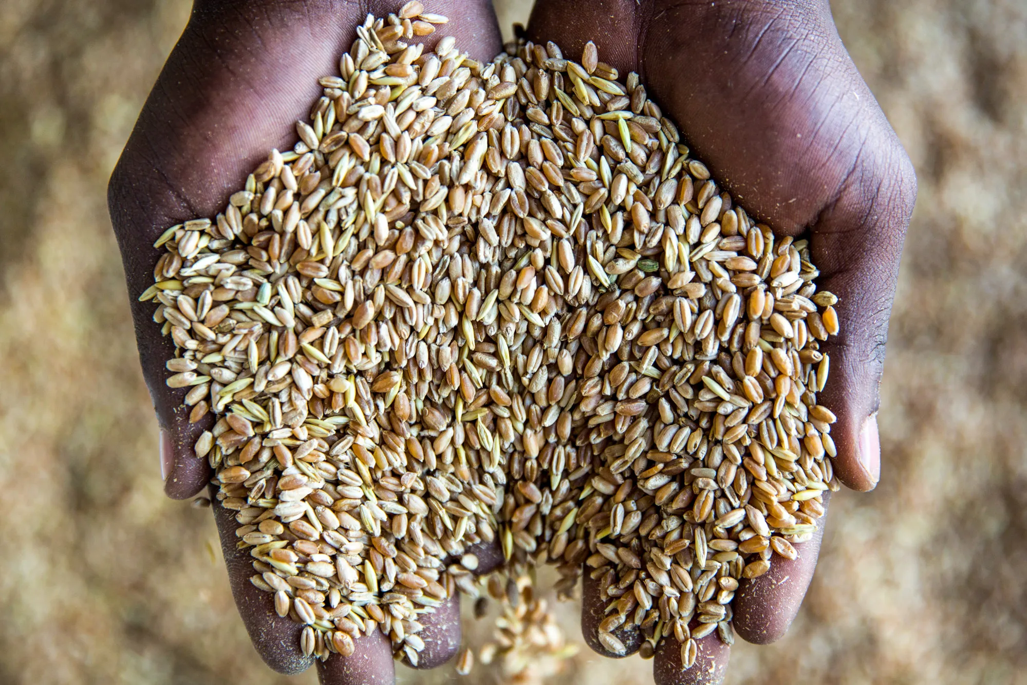 Zimbabwe Plans To Abandon Fixing Prices For Commodities - Bloomberg