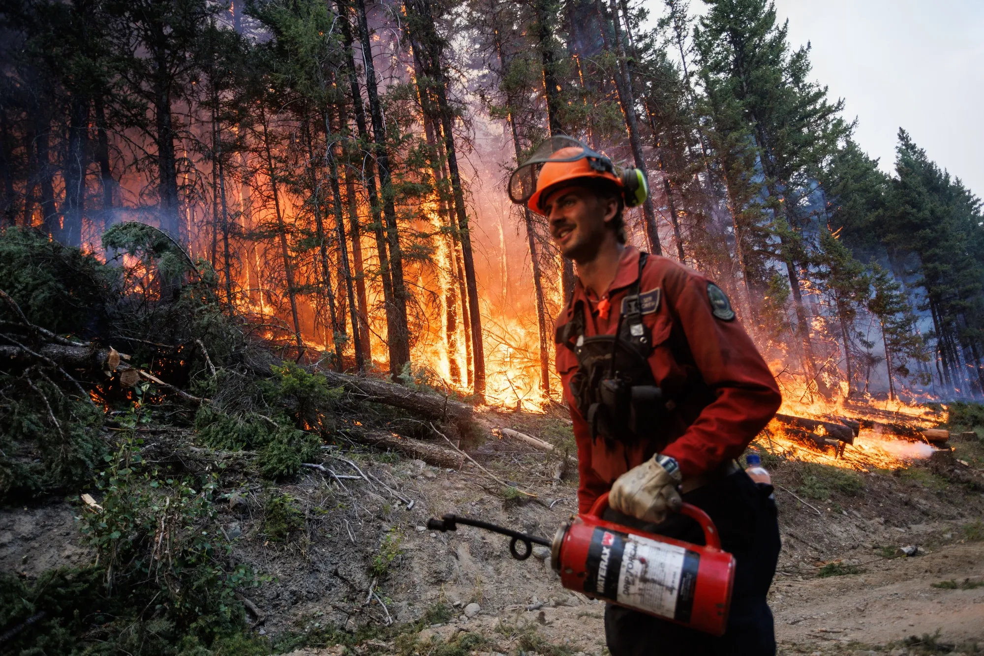 Wildfire Smoke: When It Goes Away, Where Does It Go? - Bloomberg
