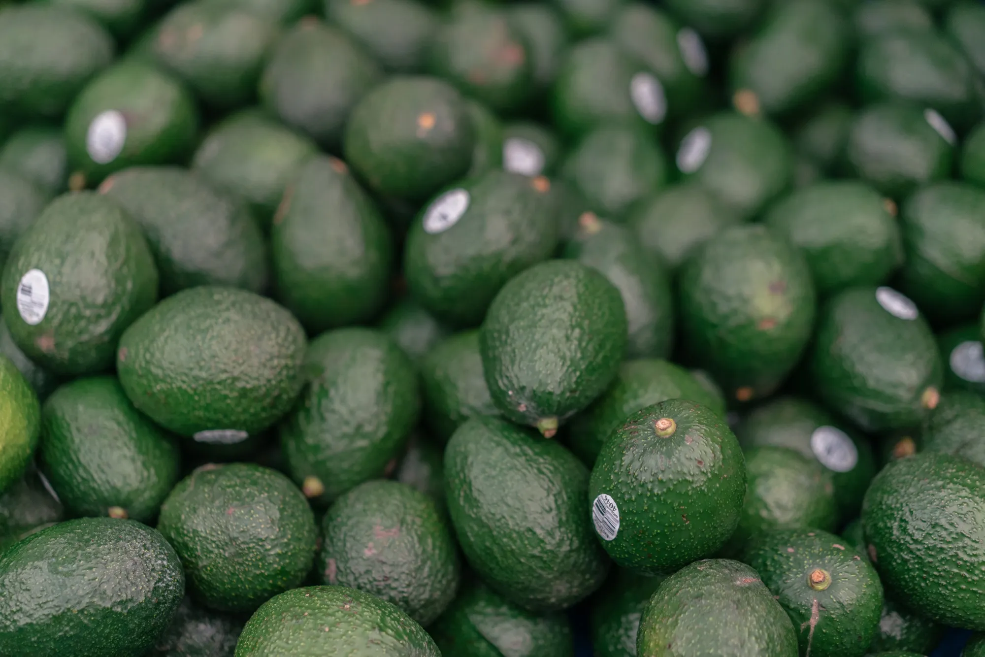 Mexico President AMLO Criticizes US for ‘Unilateral’ Freeze on Avocado ...