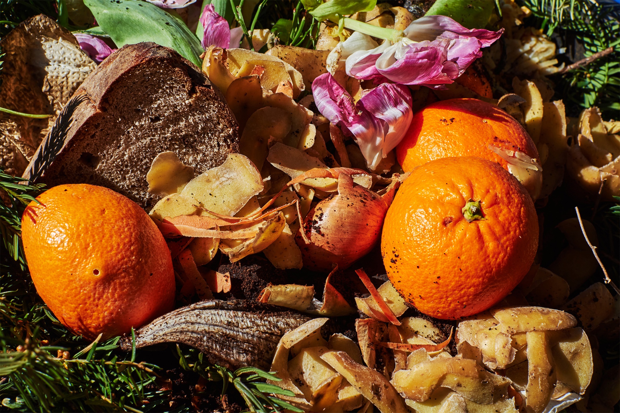 The US Has A Food Waste Problem And It s Getting Worse Bloomberg