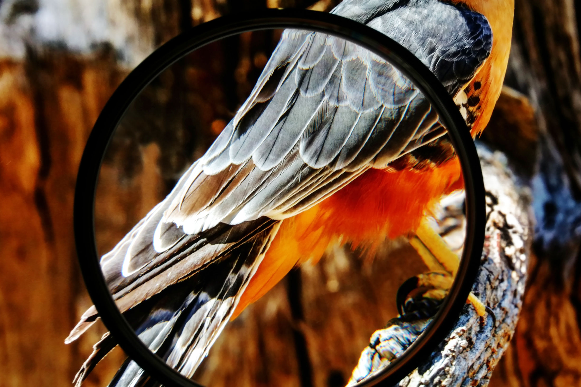 Five Crazy Photography Experiments From Canon Expo 2015 - Bloomberg