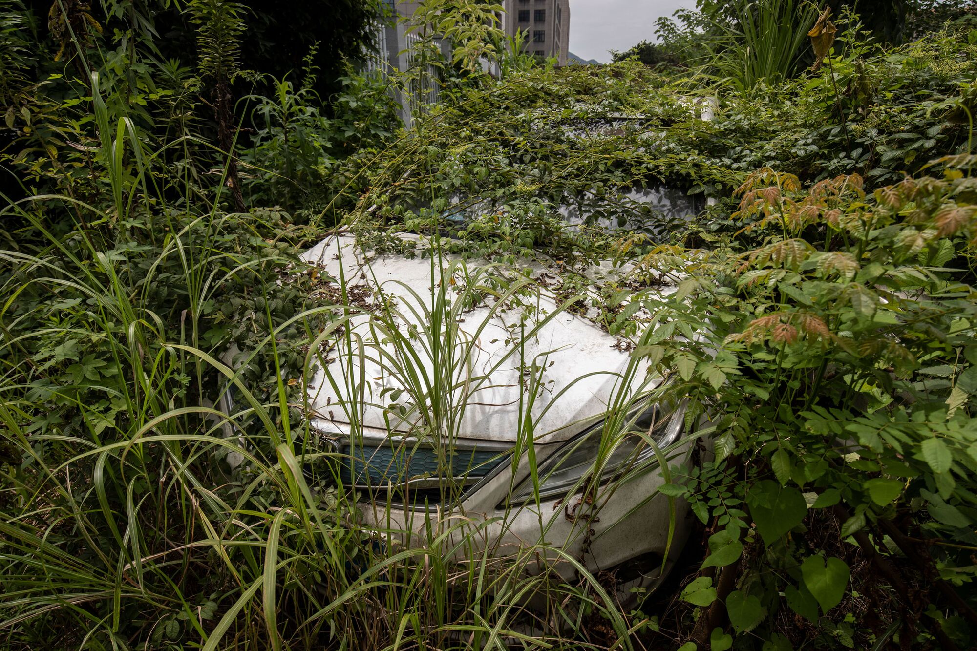China’s Abandoned Electric Cars Pile Up After EV Boom Fueled by Subsidies