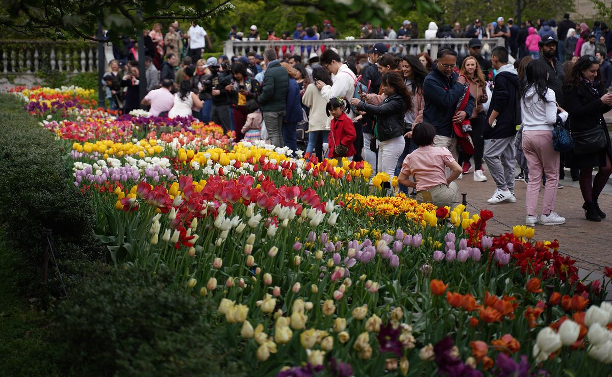 When Is Spring? Early in the US South, Late in Plains, Midwest - Bloomberg
