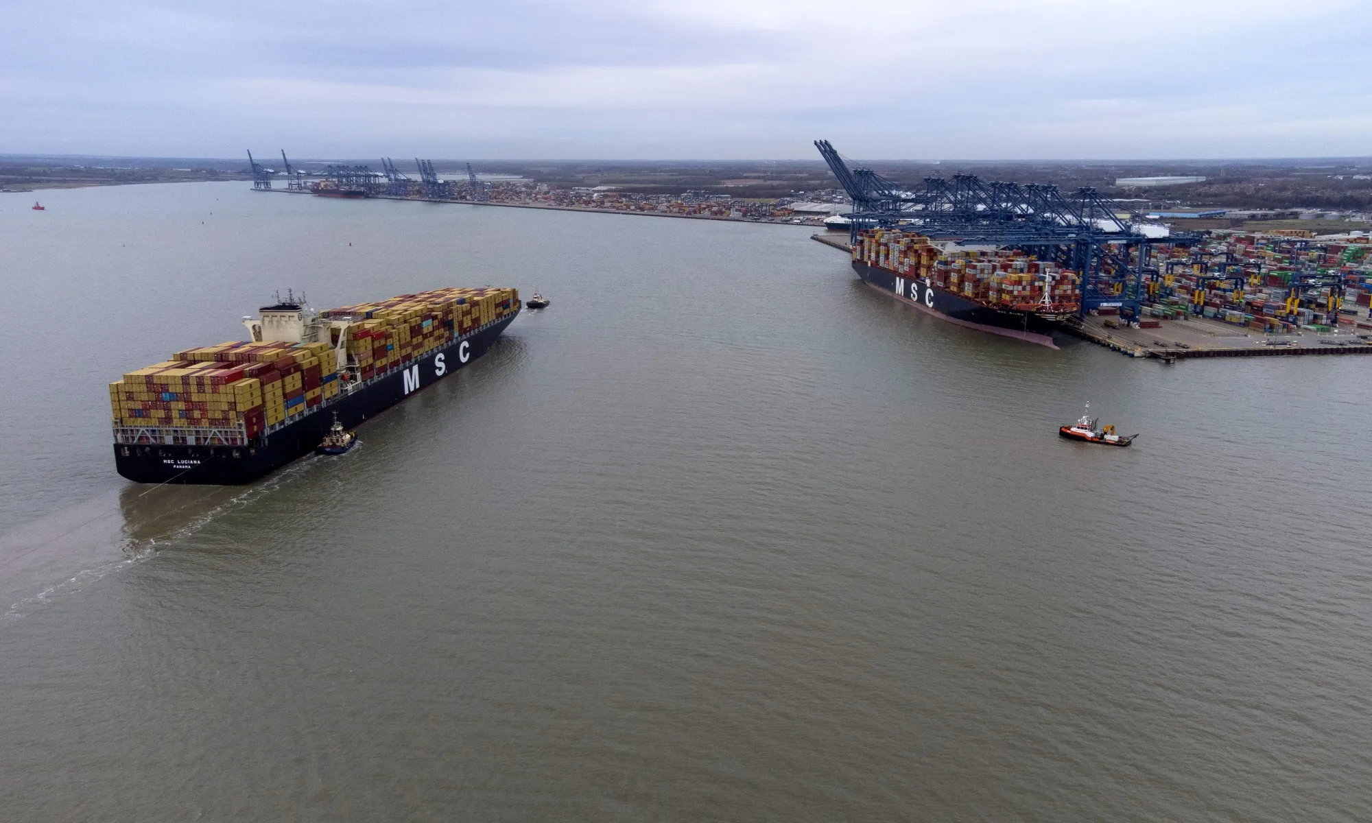 WTO Says Global Trade Resilient Amid Red Sea Attacks, Trump's Tariff ...