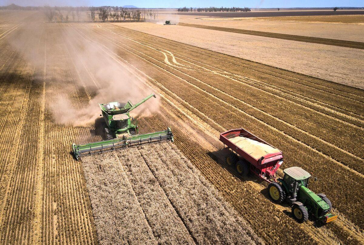 Farming in Australia Faces Slowdown Following Bumper Year - Bloomberg
