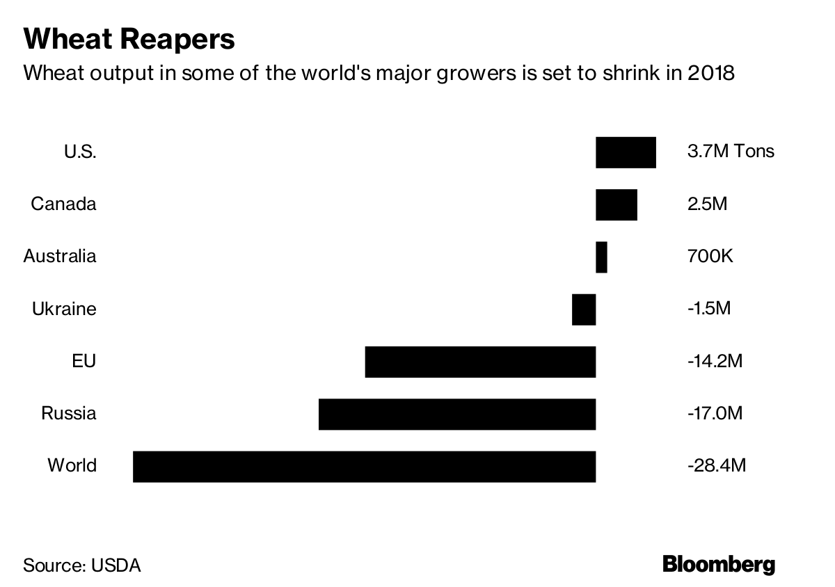 Heat and Drought Are Hurting Wheat Harvests Worldwide - Bloomberg