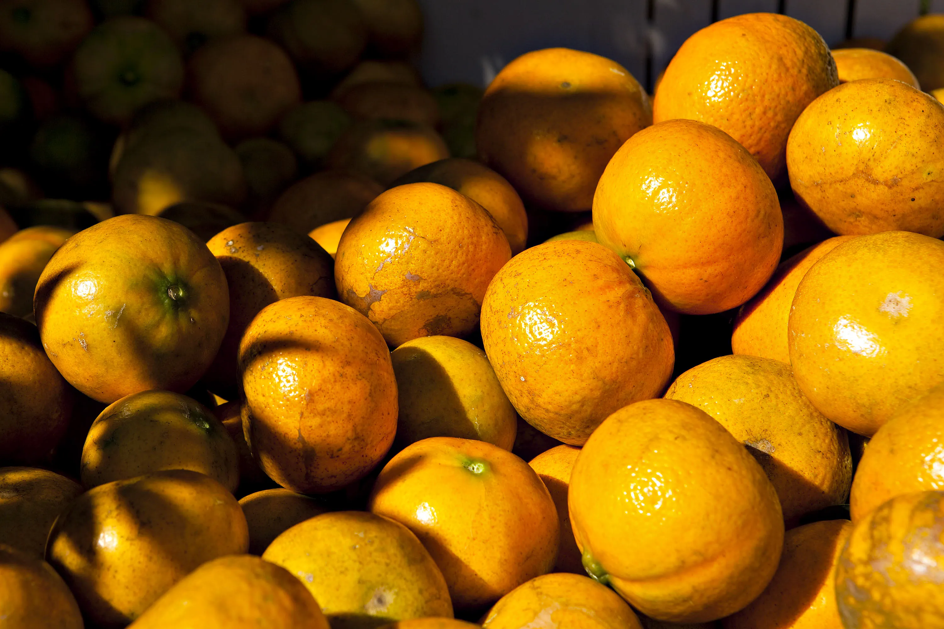 World’s No. 2 Citrus Exporter Has Fruit Cleared to Enter EU - Bloomberg