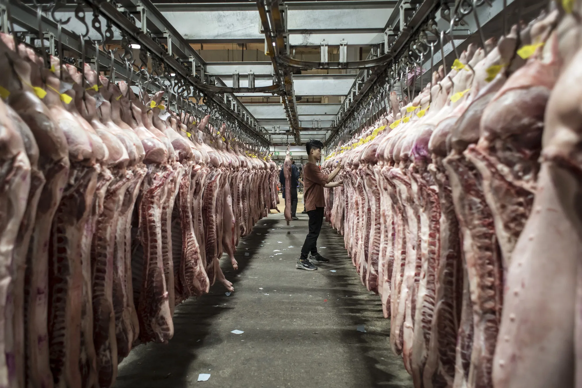 China’s Fight Against Pork Prices Could Include U.S. Imports - Bloomberg