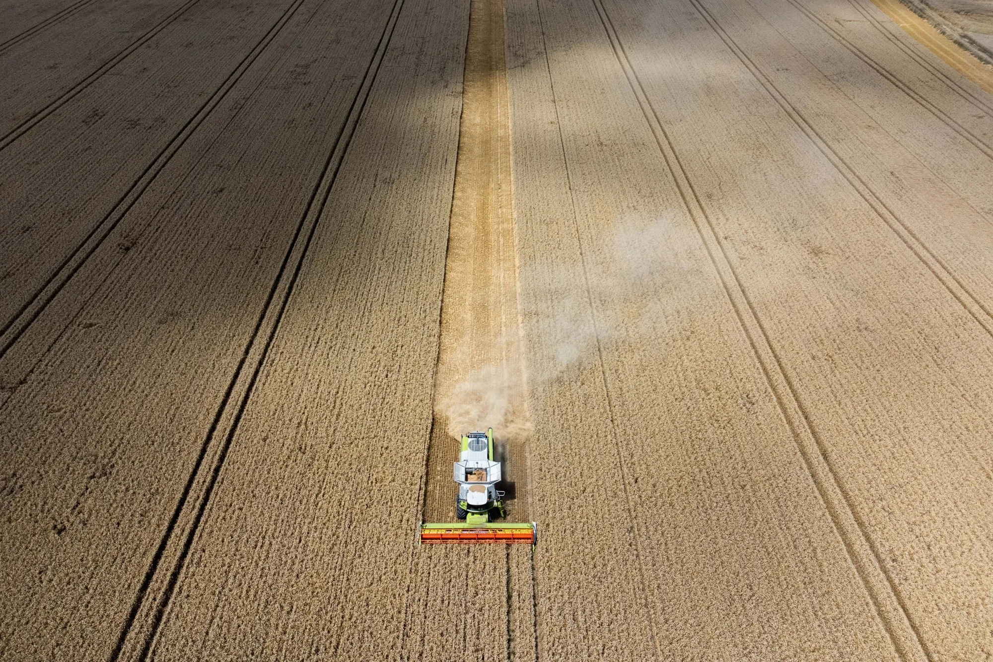 ADM, Bunge Among Crop Traders Set for Profit Slump on Ample Supply ...