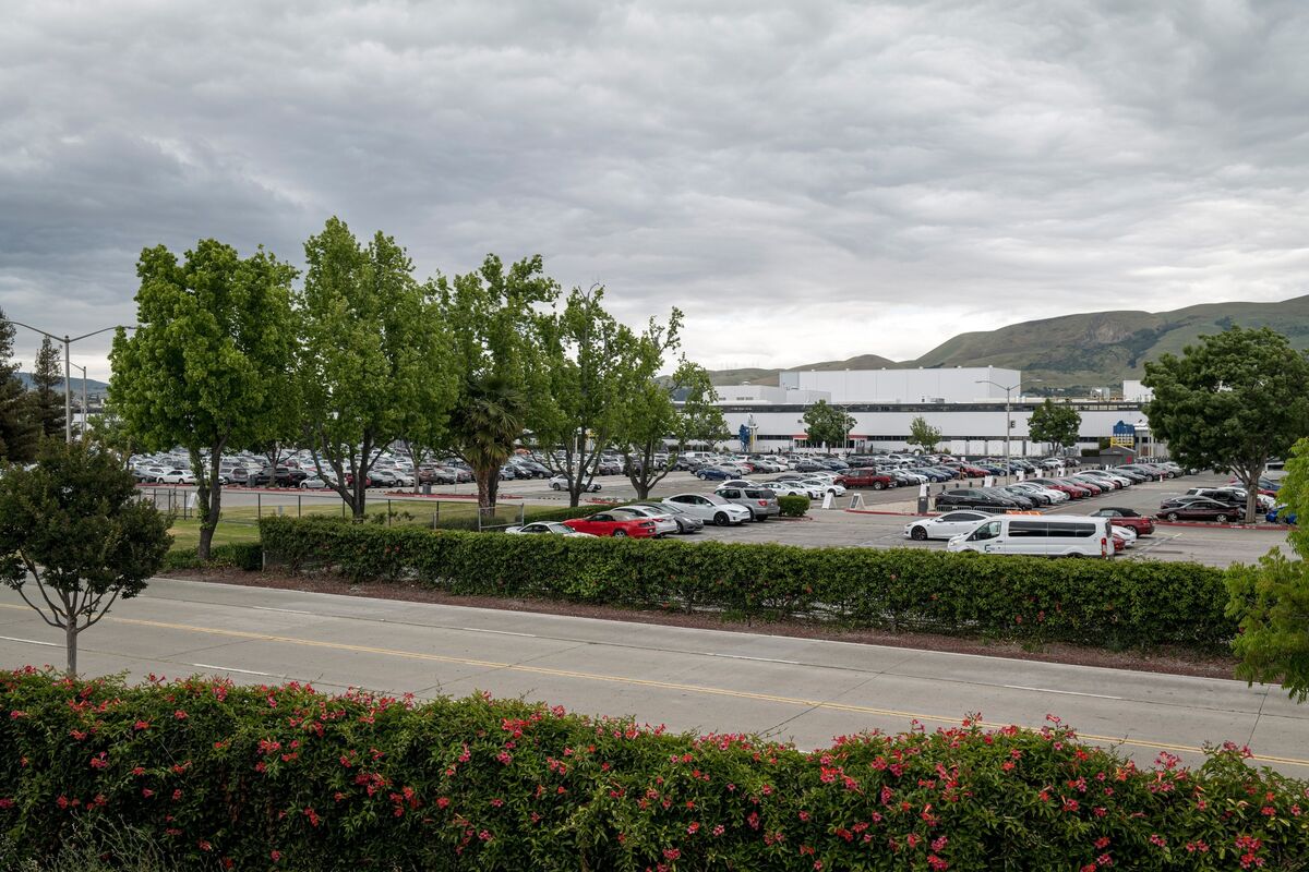 Tesla Offers Anxious Plant Workers Unpaid Leave Until May 31 - Bloomberg