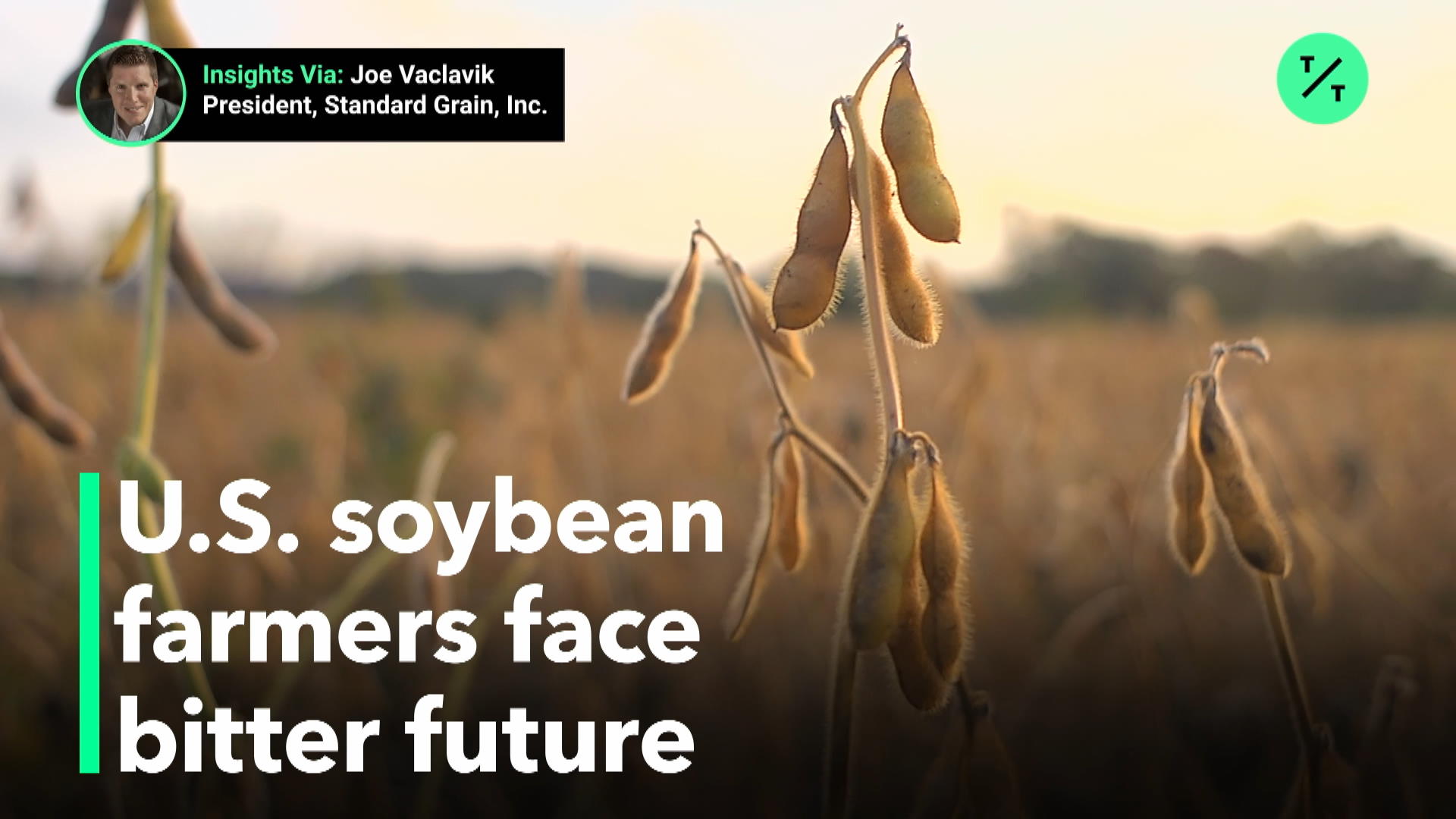 Watch U.S. Soybean Farmers Face Bitter Future - Bloomberg