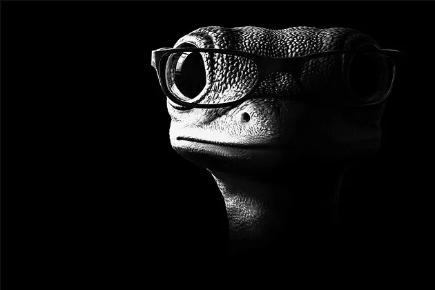 Geico's Gecko Has Written a Book - Bloomberg